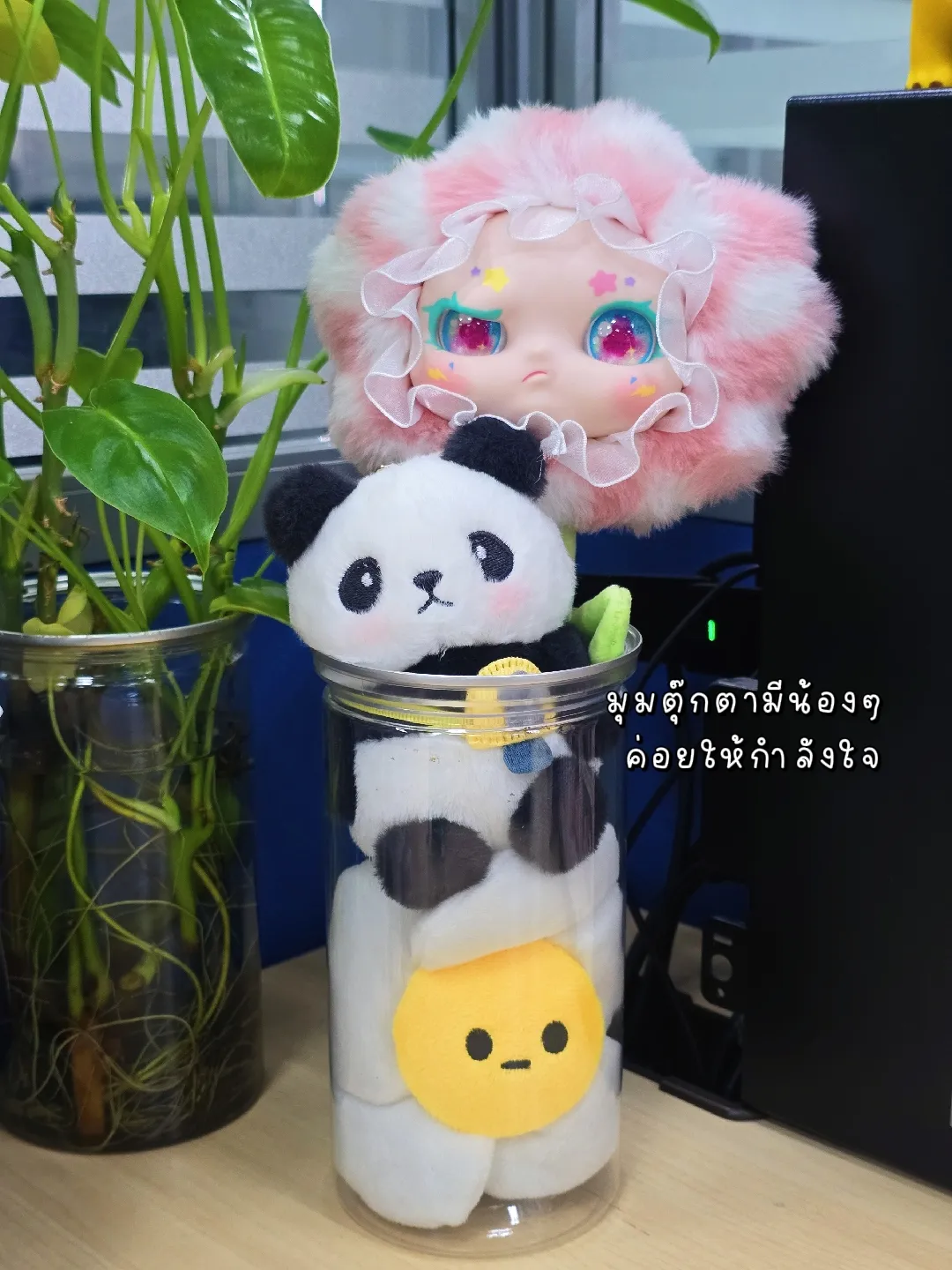 มุมฮีลใจบนโต๊ะทำงาน (จัดใหม่อีกแล้ว) ทำงานแบบใจฟู | แกลเลอรีที่โพสต์โดย ...