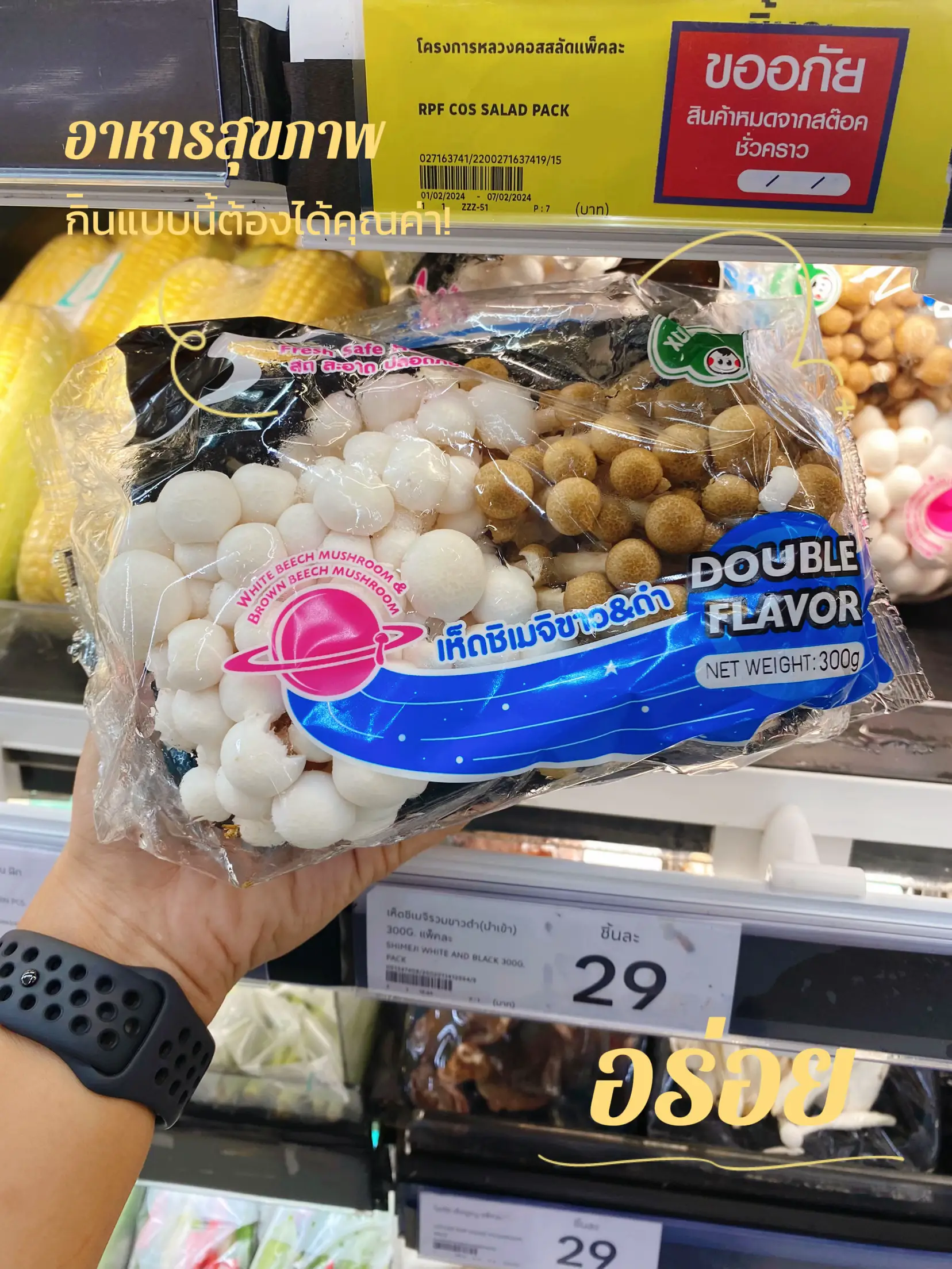 #Mushroom | แกลเลอรีที่โพสต์โดย Mo KB | Lemon8