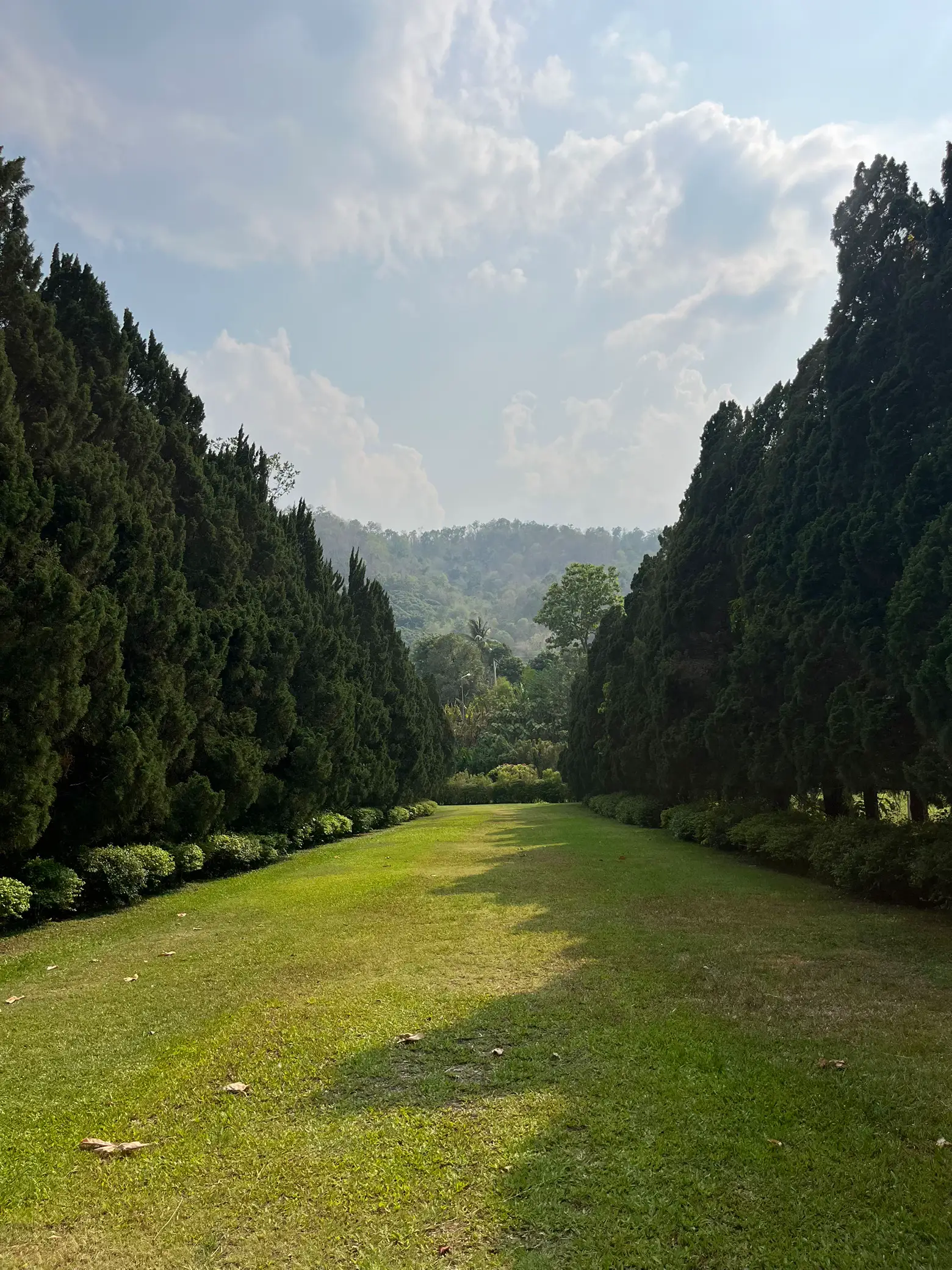 คาเฟ่เชียงใหม่ | Cypress Lanes | แกลเลอรีที่โพสต์โดย 𝐦𝐦 ♡︎ | Lemon8