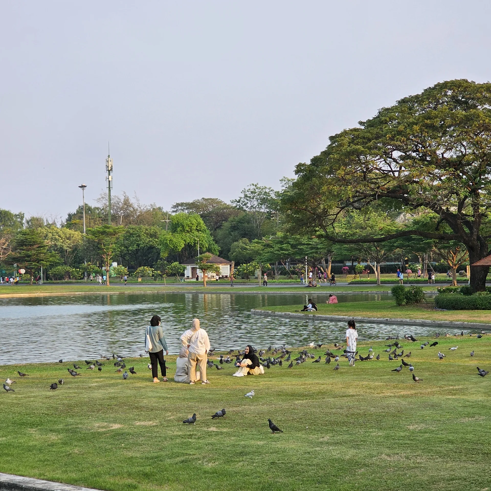 Suan Luang Rama 9 × S23 Ultra | Gallery posted by my human diary | Lemon8