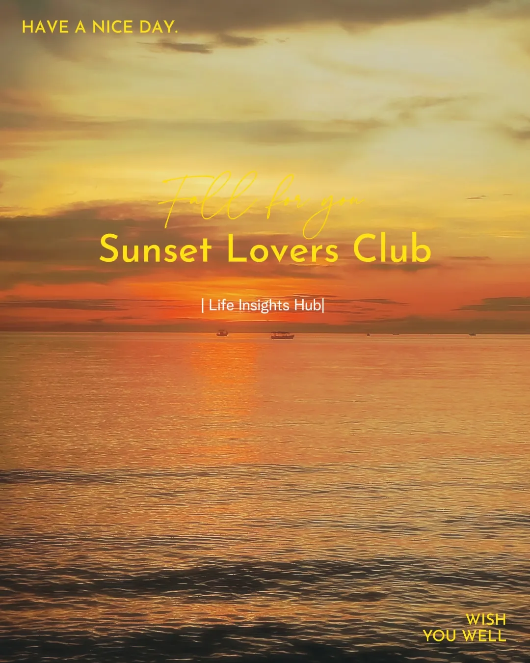 The Sunset | Gallery posted by LifeInsightsHub | Lemon8