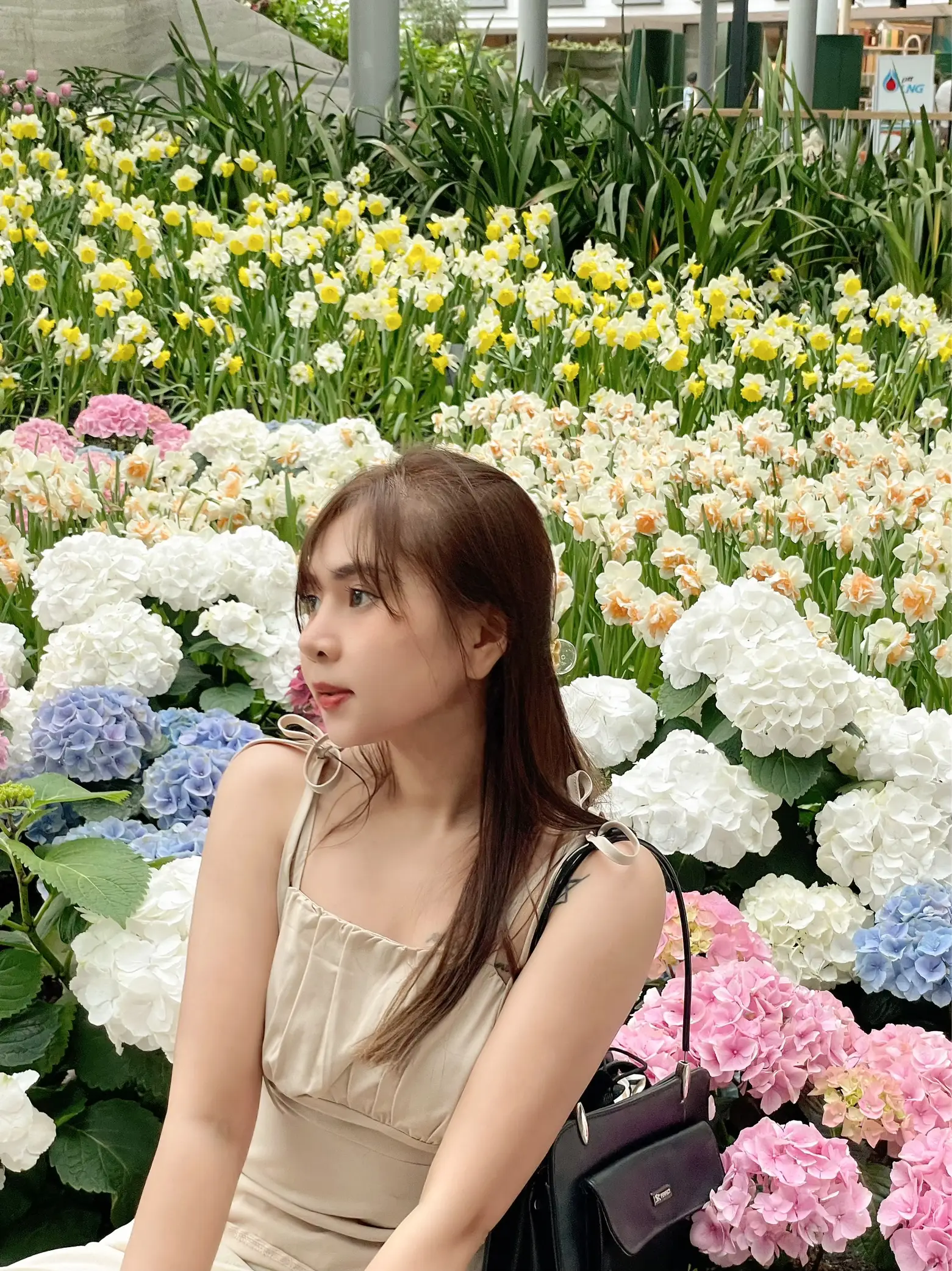Miracle of Natural at Exhibition Hall 🌷🌷 | แกลเลอรีที่โพสต์โดย ...