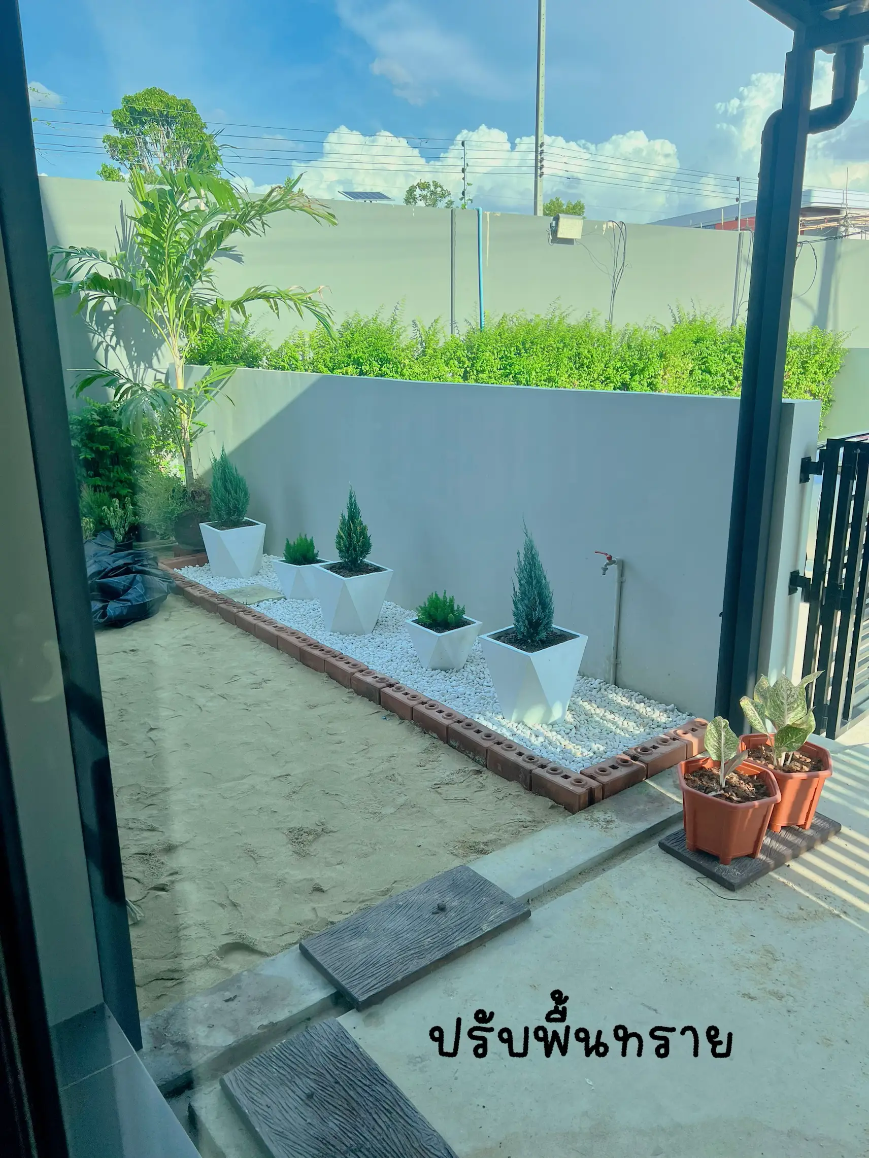 รีวิว สวนข้างบ้าน 🥦🪴🍂 | แกลเลอรีที่โพสต์โดย Pla._.Boo | Lemon8