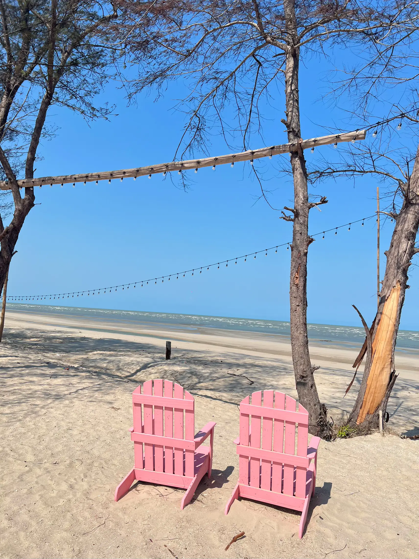 CELSIUS BEACH X CAFE 🌴🍍🥤 | แกลเลอรีที่โพสต์โดย Aumcq | Lemon8