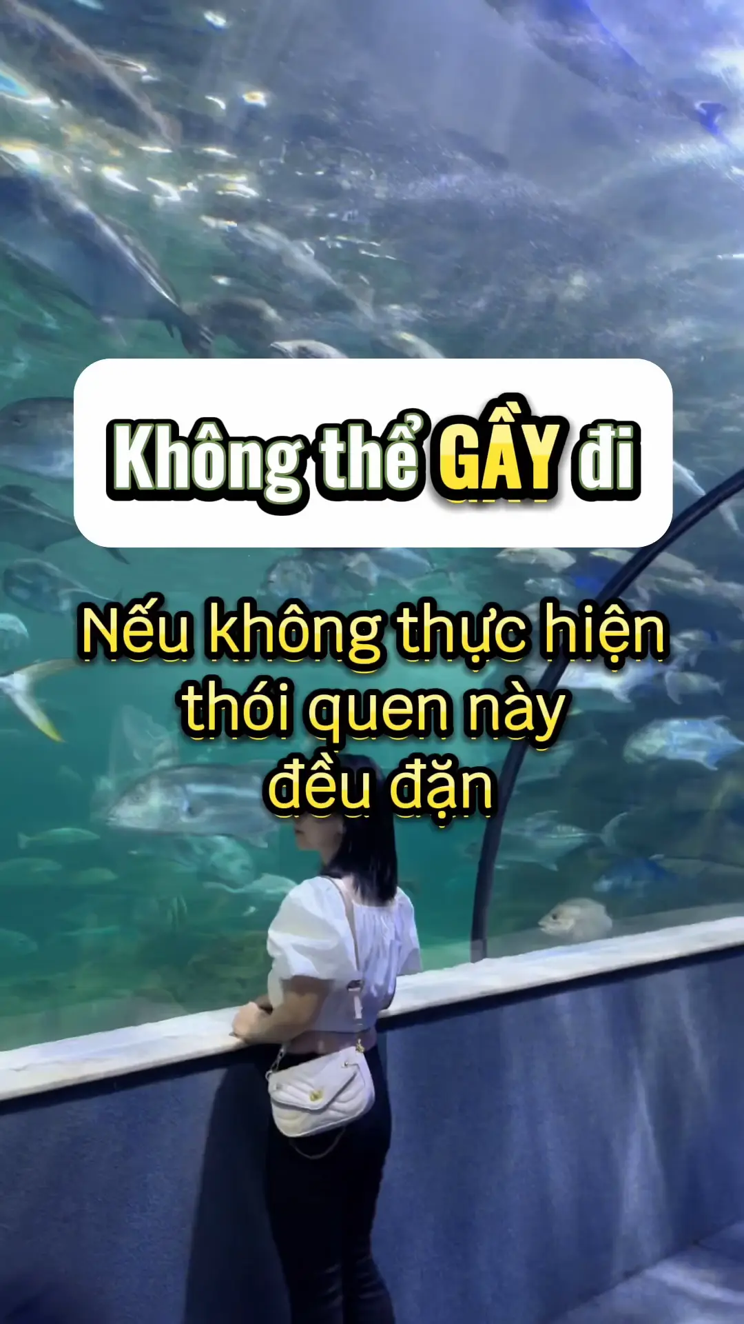 Thói quen k thể thiếu khi giảm cân | วิดีโอที่เผยแพร่โดย Văn Kim Chung | Lemon8