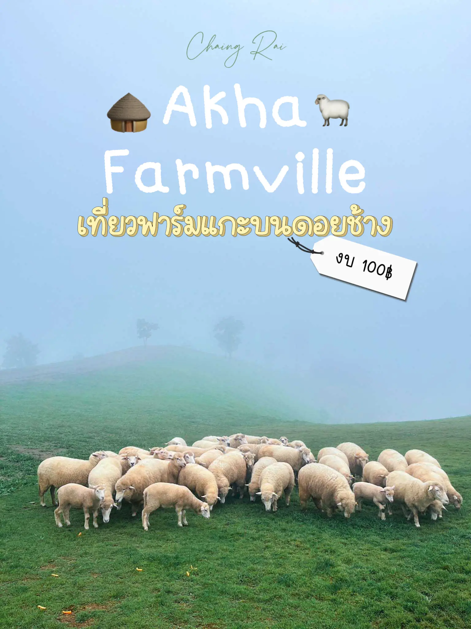📍พิกัดฟาร์มแกะ 𝑨𝒌𝒉𝒂 𝑭𝒂𝒓𝒎𝒗𝒊𝒍𝒍𝒆🍃ที่ใครมาดอยช้างต้องมาเช็คอิน | แกลเลอรี ...