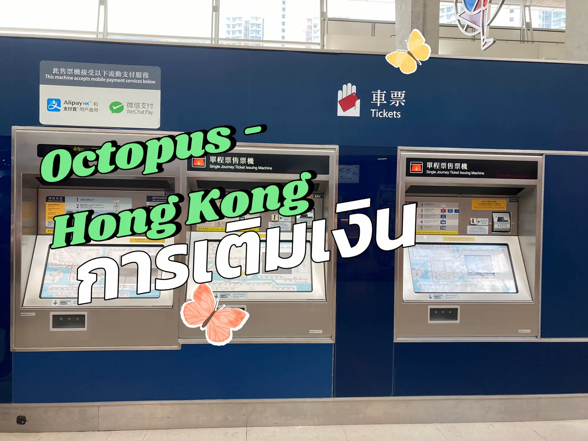 Octopus - Hong Kong | แกลเลอรีที่โพสต์โดย lemon9180624006 | Lemon8