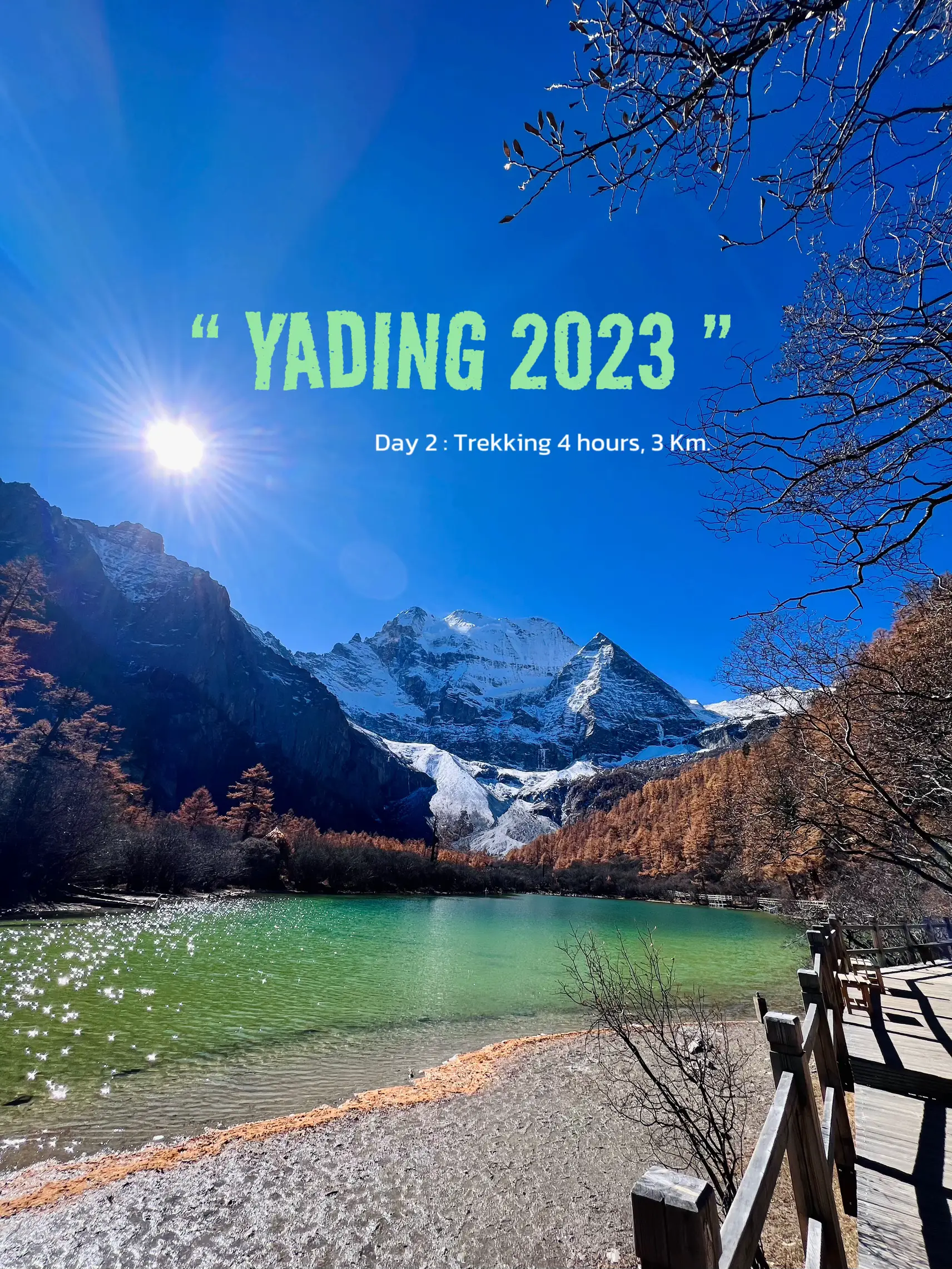 YADING 2023 ” | แกลเลอรีที่โพสต์โดย Ray Rattana | Lemon8