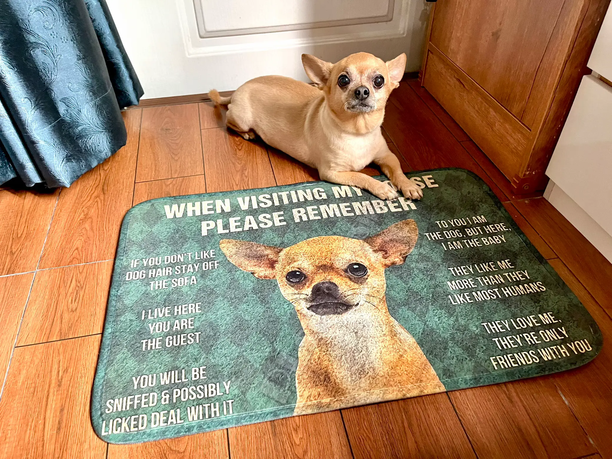 🐶พรมเช็ดเท้าหน้าชิวาว่า | แกลเลอรีที่โพสต์โดย khuncha | Lemon8