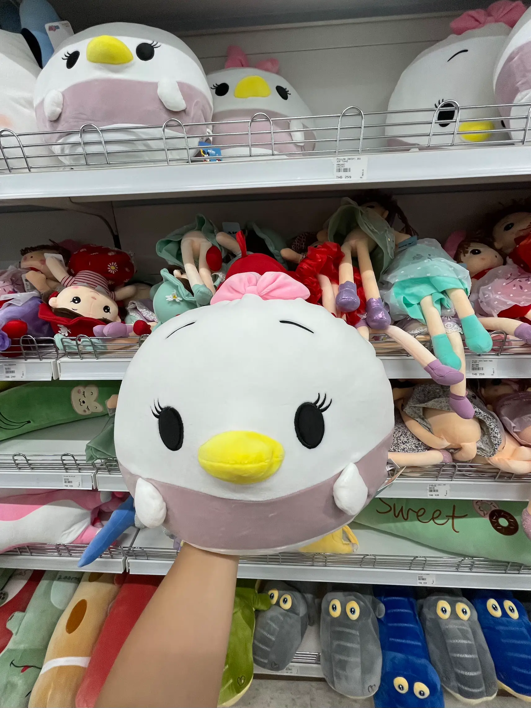 MR.DIY x DISNEY น่ารักขนาดนี้ ไม่ซื้อได้ไง ราคาไม่แพงด้วย🥰 | แกลเลอรี ...