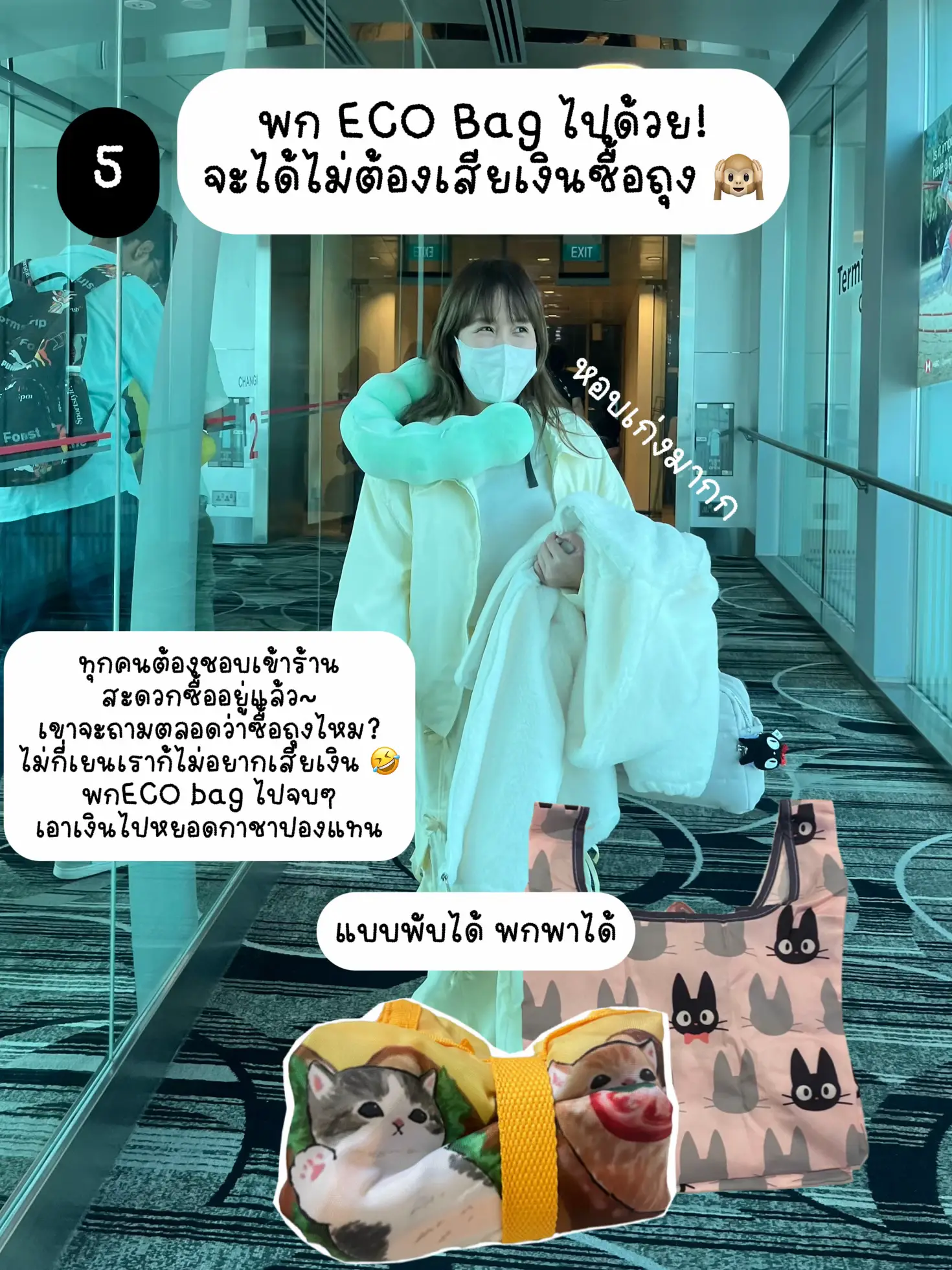 ทริค 5 ข้อ ไปเที่ยวญี่ปุ่นอย่างมีความสุข 🩵🇯🇵🐶 | แกลเลอรีที่โพสต์โดย ...