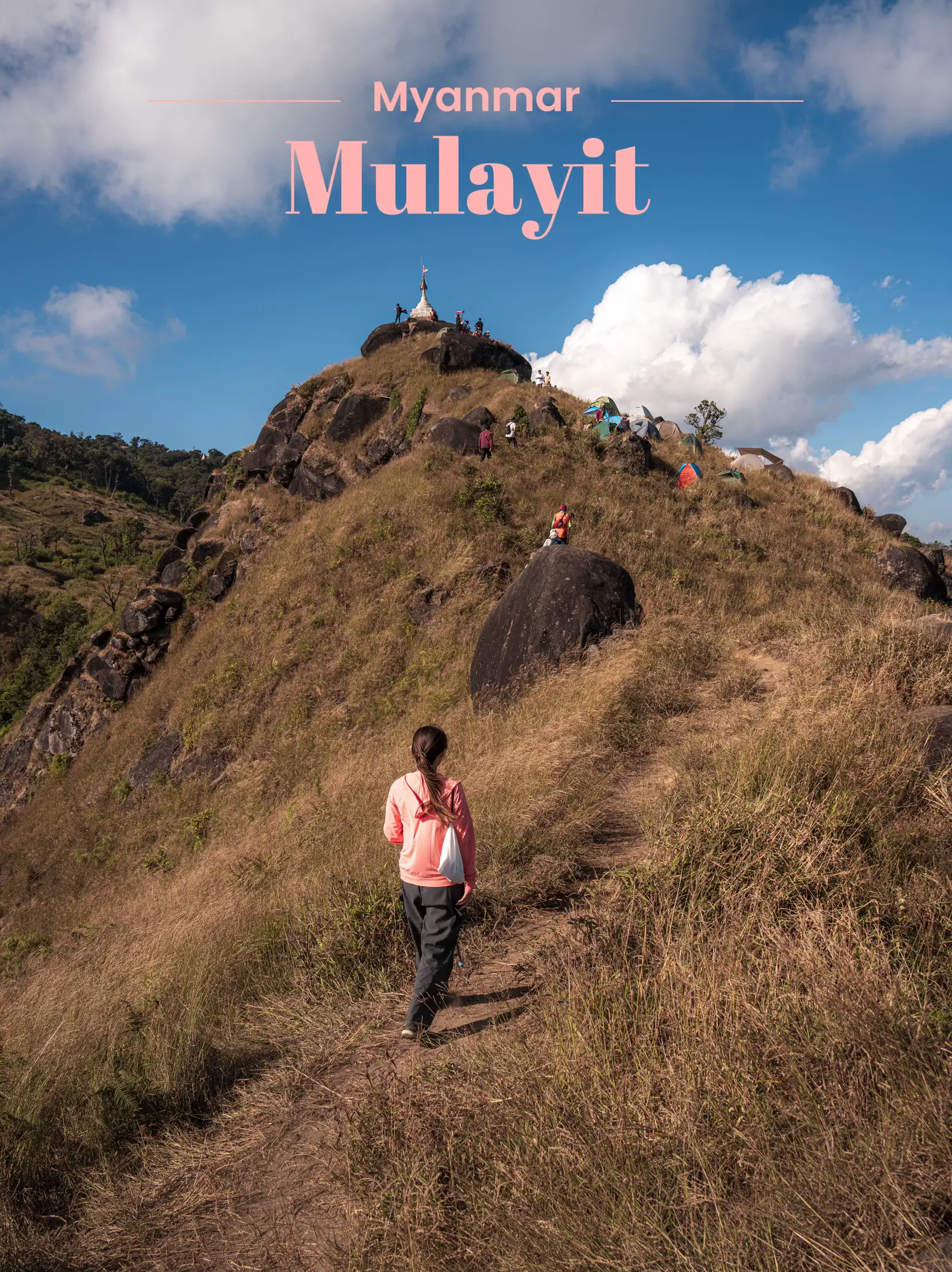 Mulayit @Myanmar🌳 | แกลเลอรีที่โพสต์โดย Mindy | Lemon8