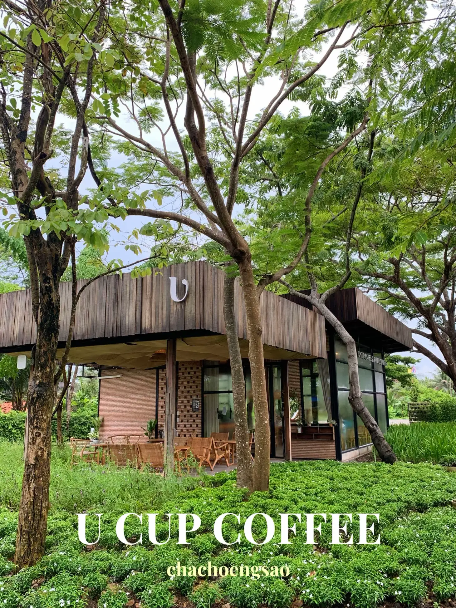 คาเฟ่ลับใกล้กรุงเทพ U CUP COFFEE 🍃โอบล้อมด้วยต้นไม้ ฮีลใจสุด | แกลเลอรี ...