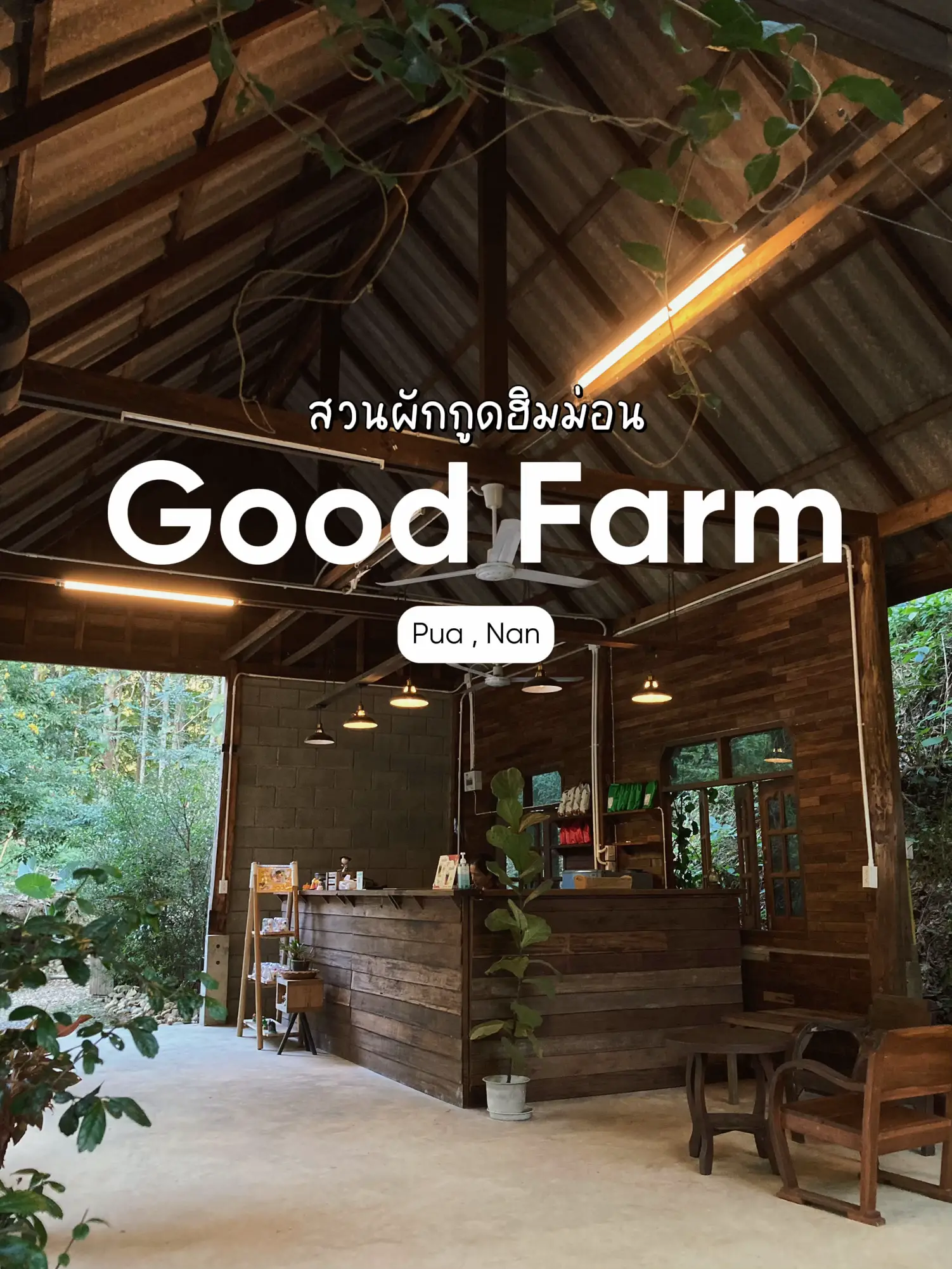Good Farm สวนผักกูดฮิมม่อน คาเฟ่น่านลึกลับใจกลางป่า | แกลเลอรีที่โพสต์ ...