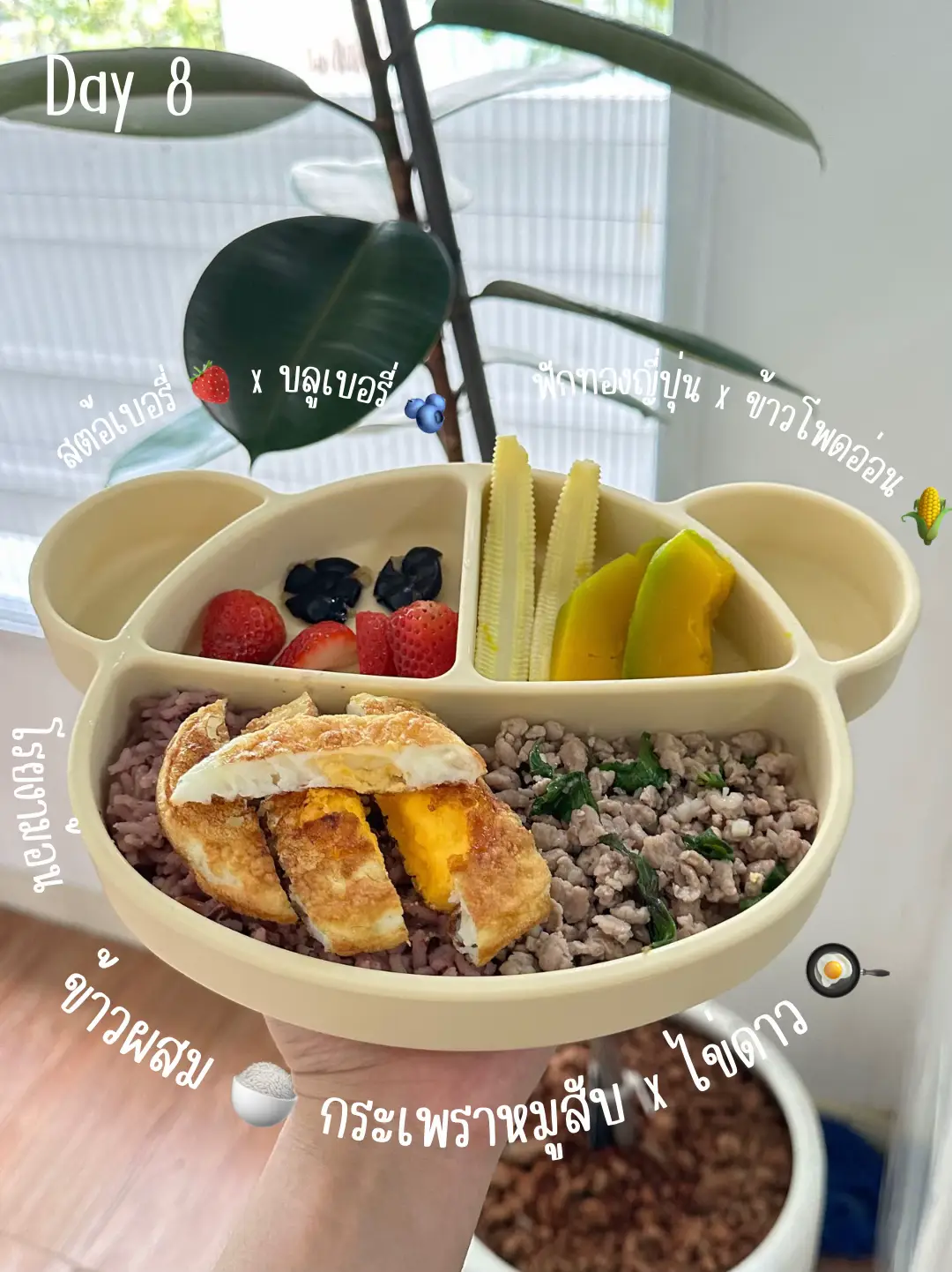 เมนูอาหารเด็ก BLW (6M+) | แกลเลอรีที่โพสต์โดย เมนูอาหารลูก | Lemon8