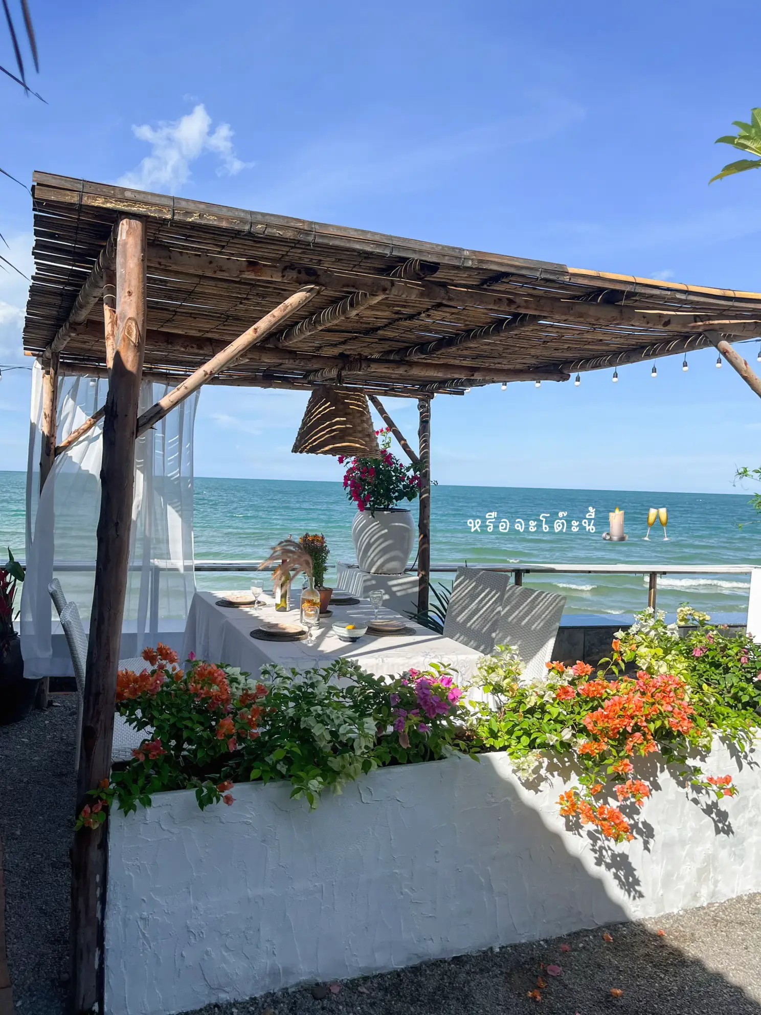 CHAPLU คาเฟ่สุดฮอตในหัวหิน มุมถ่ายรูปสวยมาก🐠🫧🌸 | แกลเลอรีที่โพสต์โดย ...