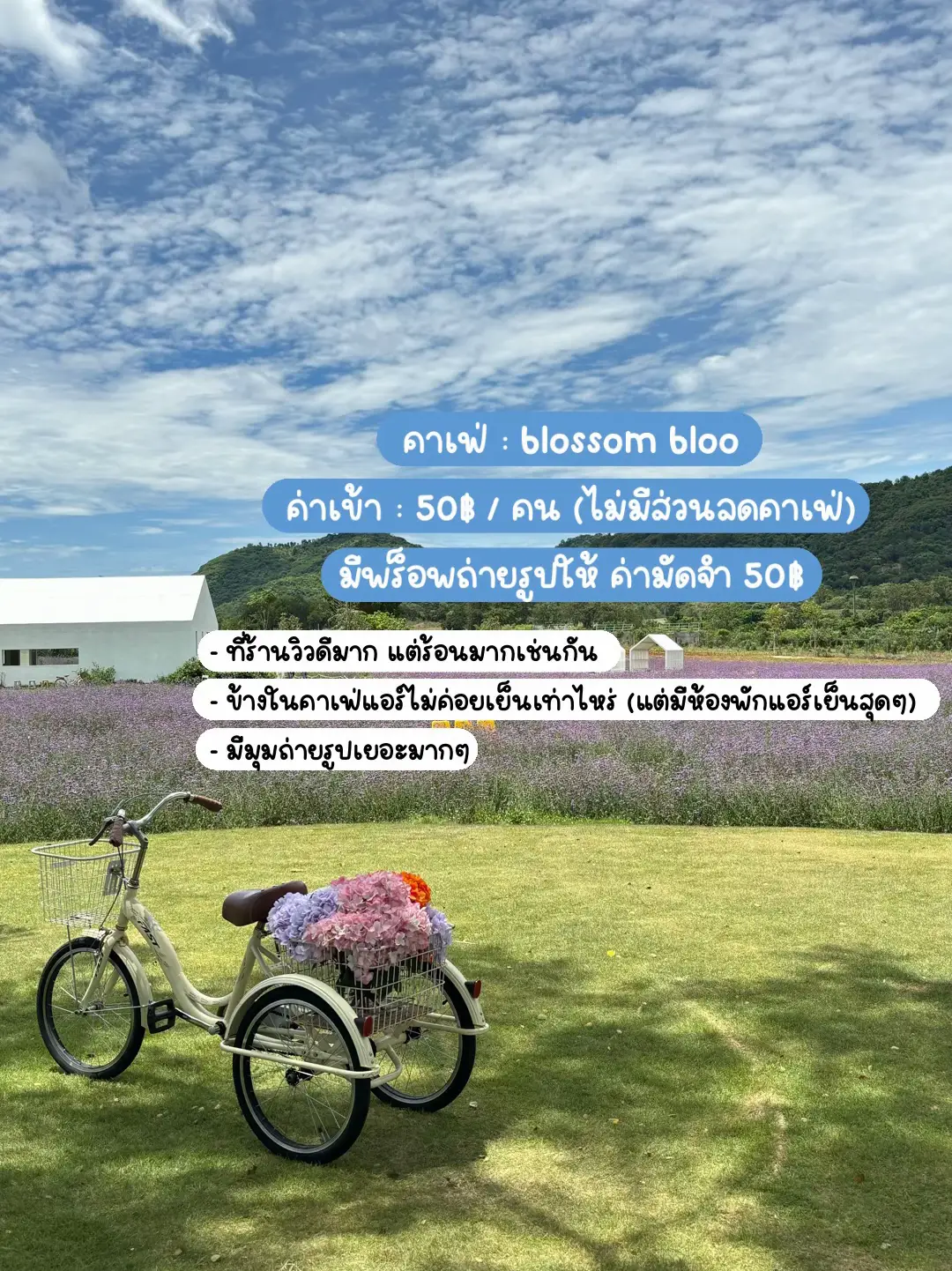 เขาใหญ่ 2024💖 | แกลเลอรีที่โพสต์โดย Ployyyy🍪 | Lemon8