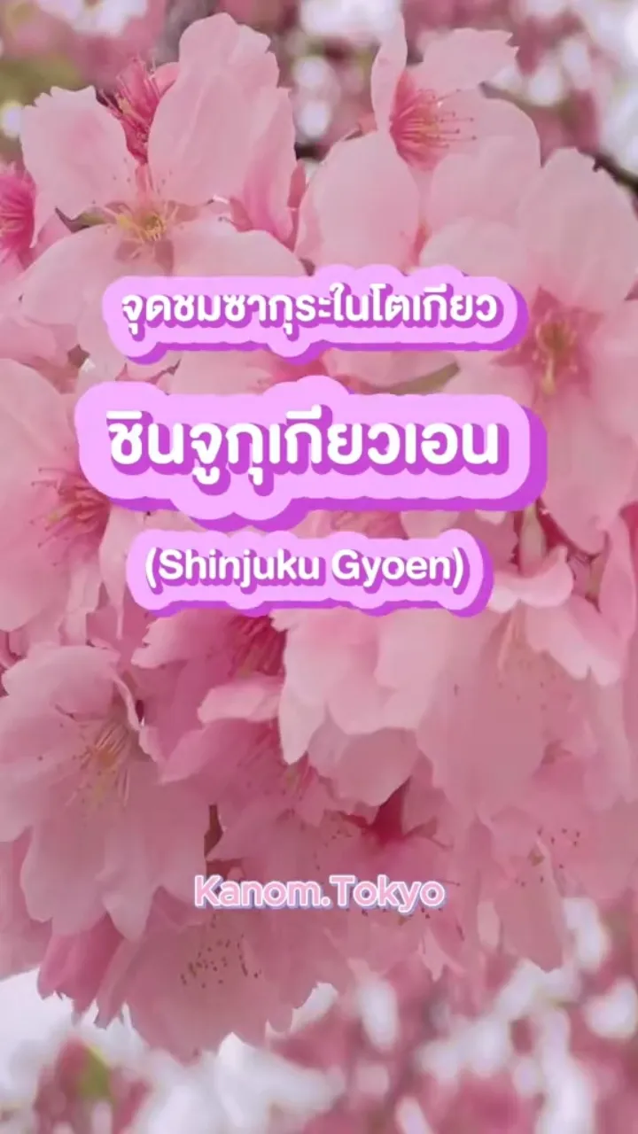 สวนชินจุกุเกียวเอน จุดชมซากุระในชินจุกุ | วิดีโอที่เผยแพร่โดย Kanom.tokyo | Lemon8