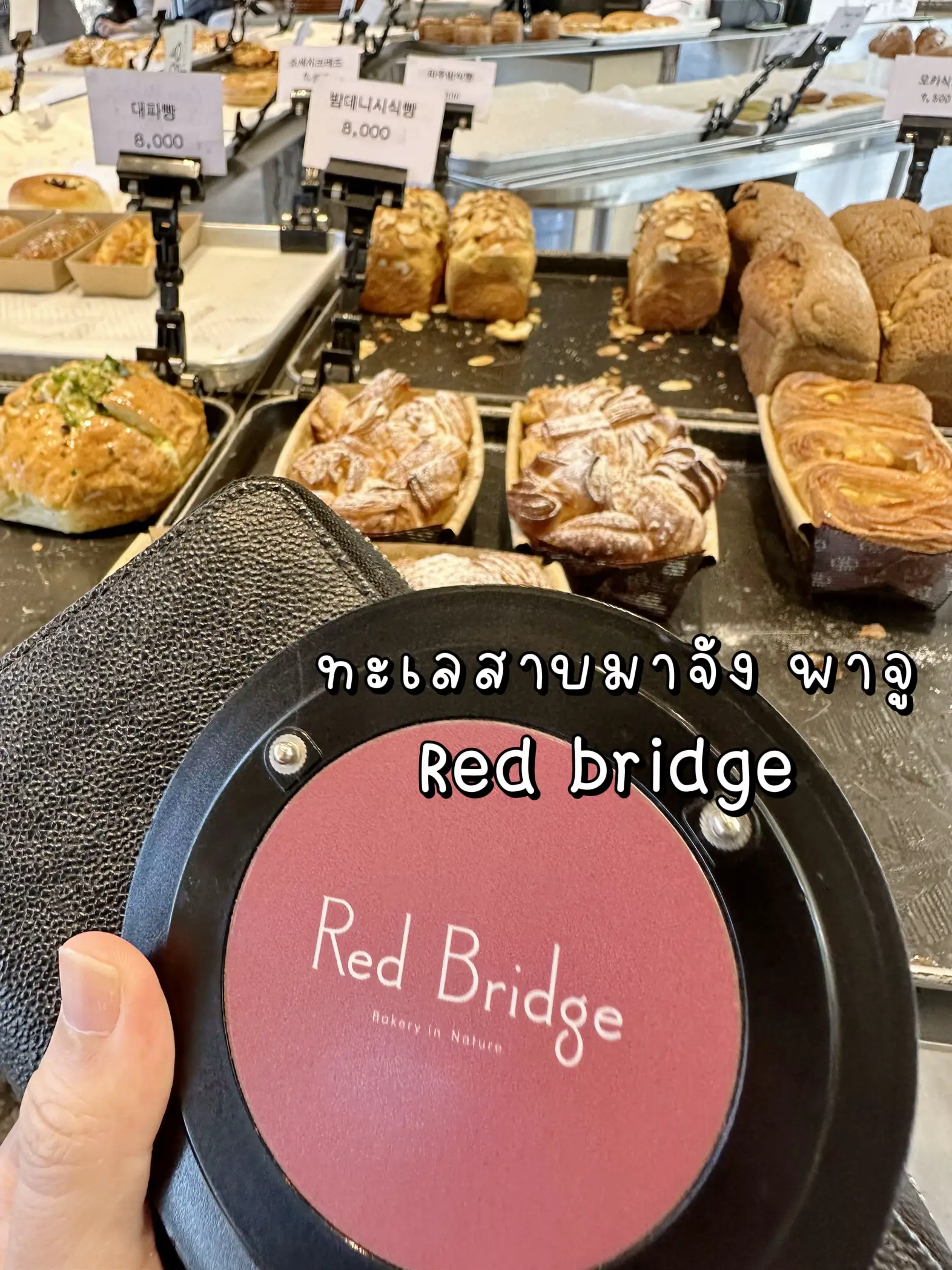 [Korea]แจกแพลน(เที่ยว)ลึก Day1 ไปไหนบ้าง ฉบับทัวร์ | แกลเลอรีที่โพสต์โดย ˚ ༘ Patperries🥯 | Lemon8