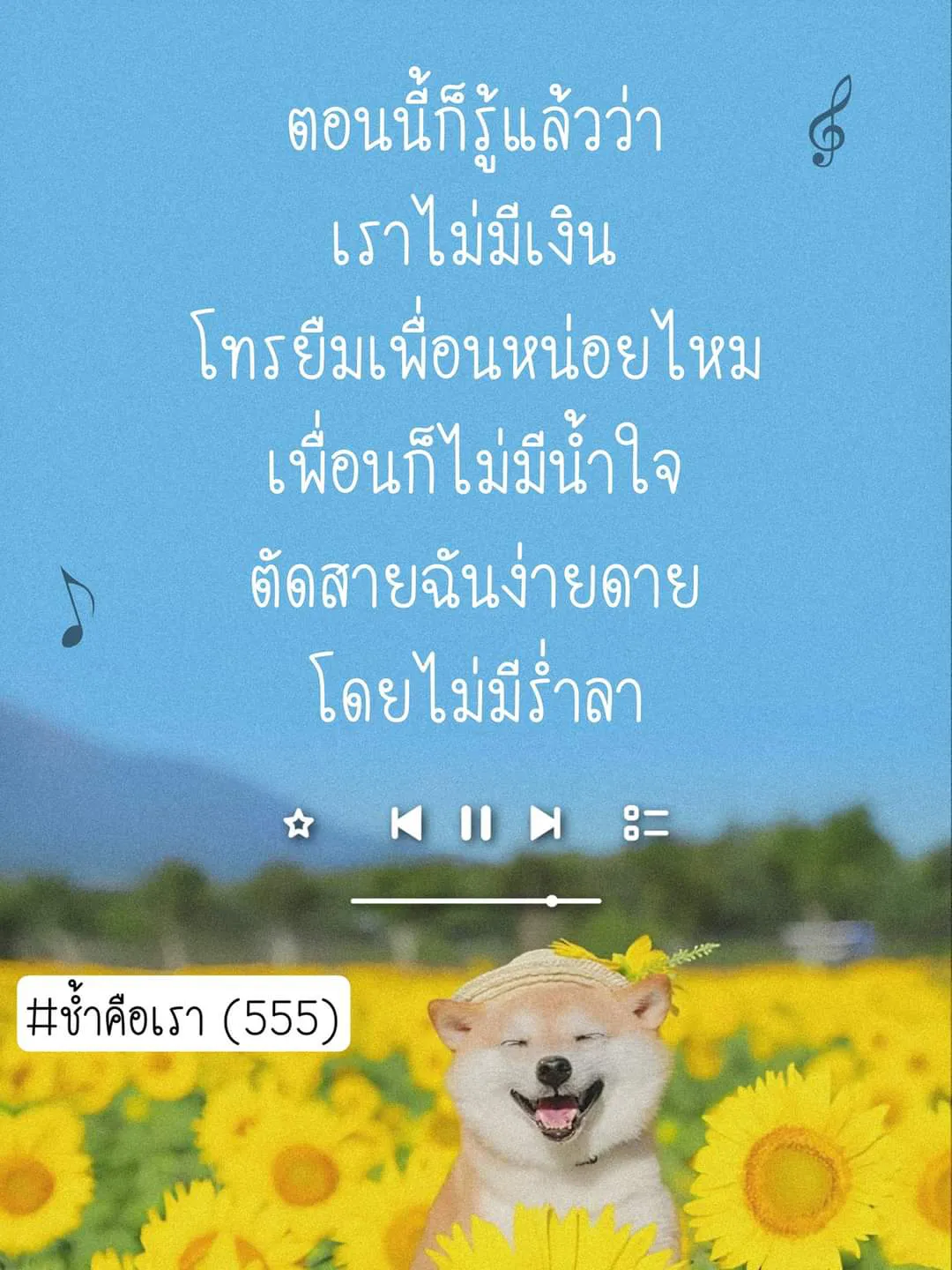 รวมคำคม แคปชั่นกวนๆ 😆😎 | แกลเลอรีที่โพสต์โดย Font Kancha | Lemon8