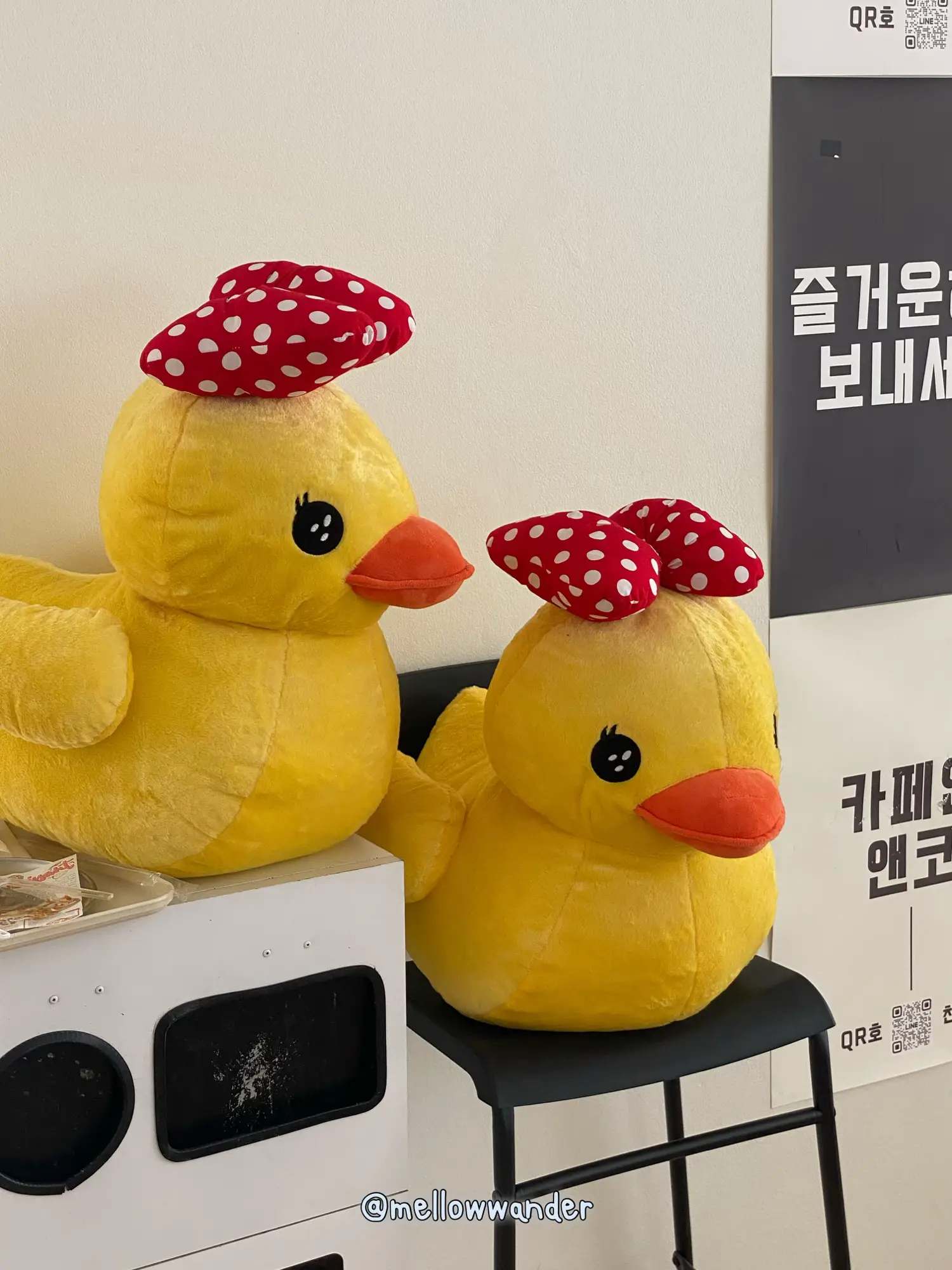 In & Co. Cafe คาเฟ่สไตล์เกาหลี จังหวัดศรีสะเกษ🧵🍄⭐️ | แกลเลอรีที่โพสต์โดย mellowwander | Lemon8