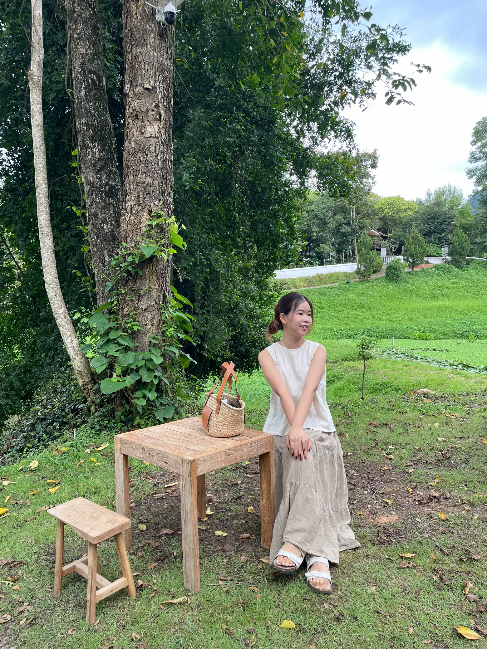 Cypress Lenses x Rachel Coffee ร้านกาแฟสีเขียวฮีลใจ | แกลเลอรีที่โพสต์ ...