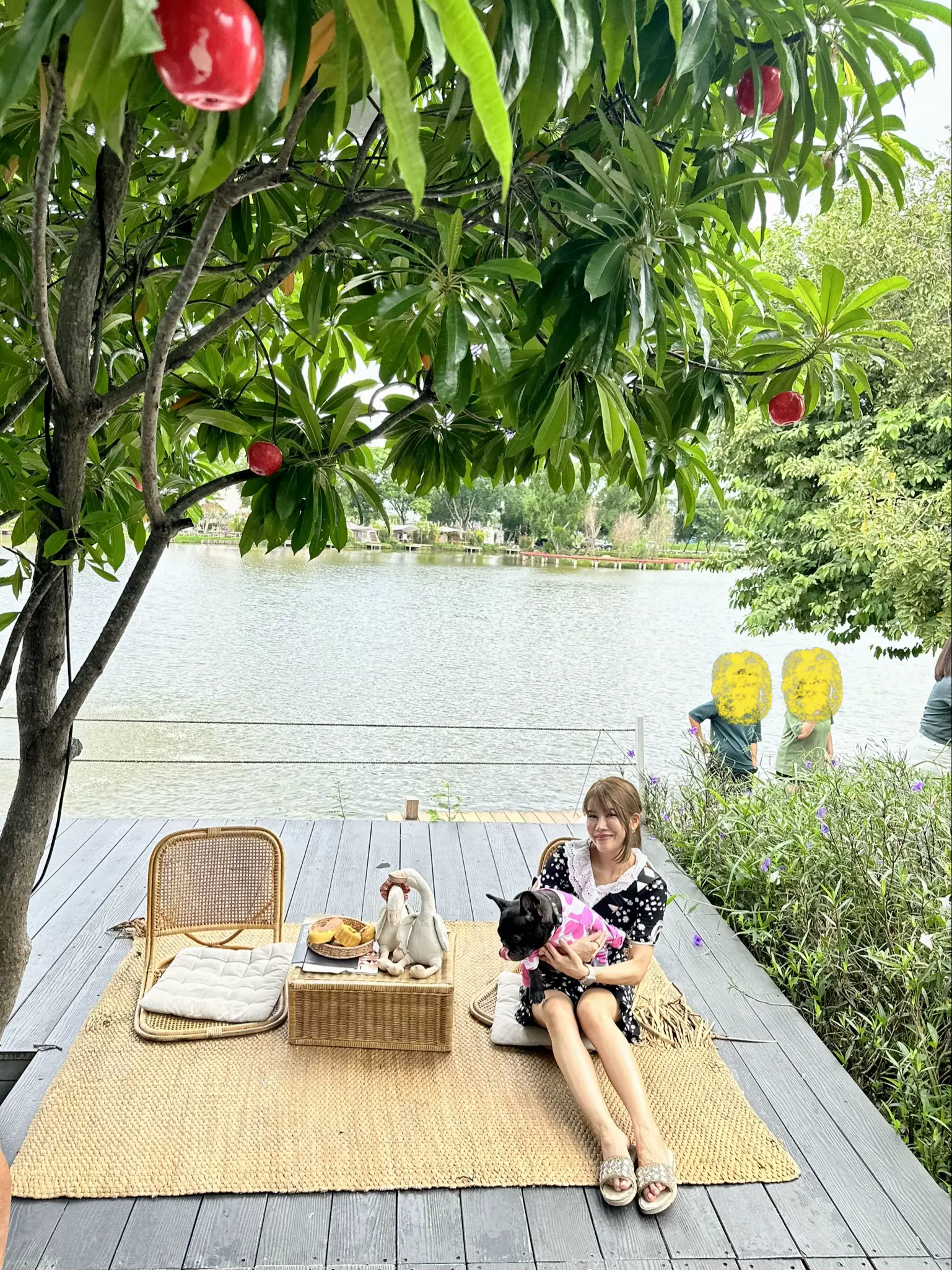 คาเฟ่พาน้องหมาเข้าได้ บรรยากาศดี ติดแม่น้ำ Prakai Cafe | แกลเลอรีที่ ...