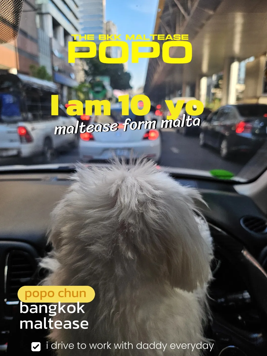 รีวิวฟาร์มมอลทีส - การค้นหาใน Lemon8