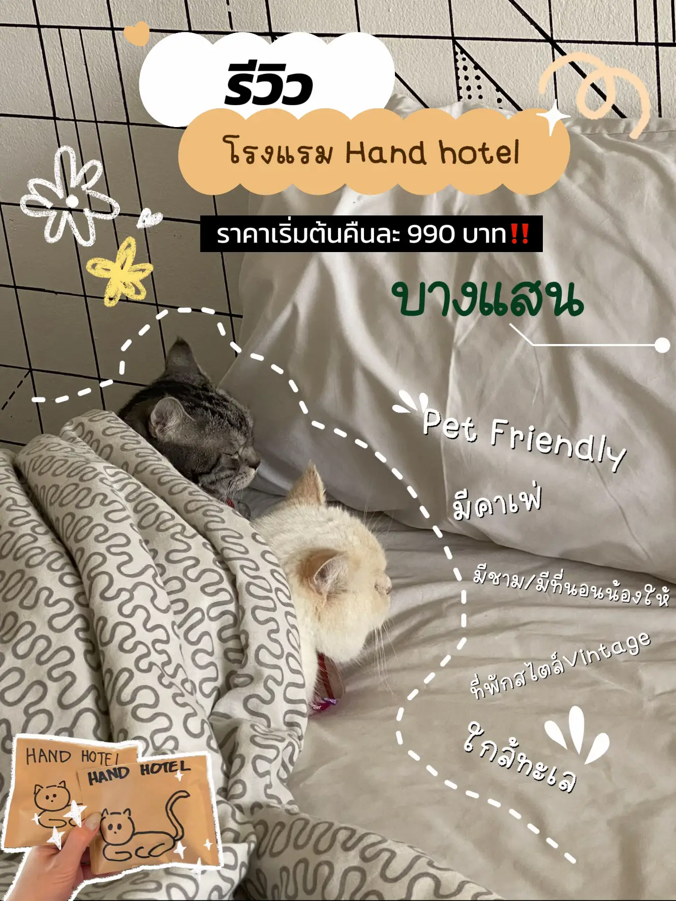 รีวิว โรงแรงPet friendly ในบางแสน🏝️🦮🐈‍⬛💖 | แกลเลอรีที่โพสต์โดย Namkhing.sutha | Lemon8