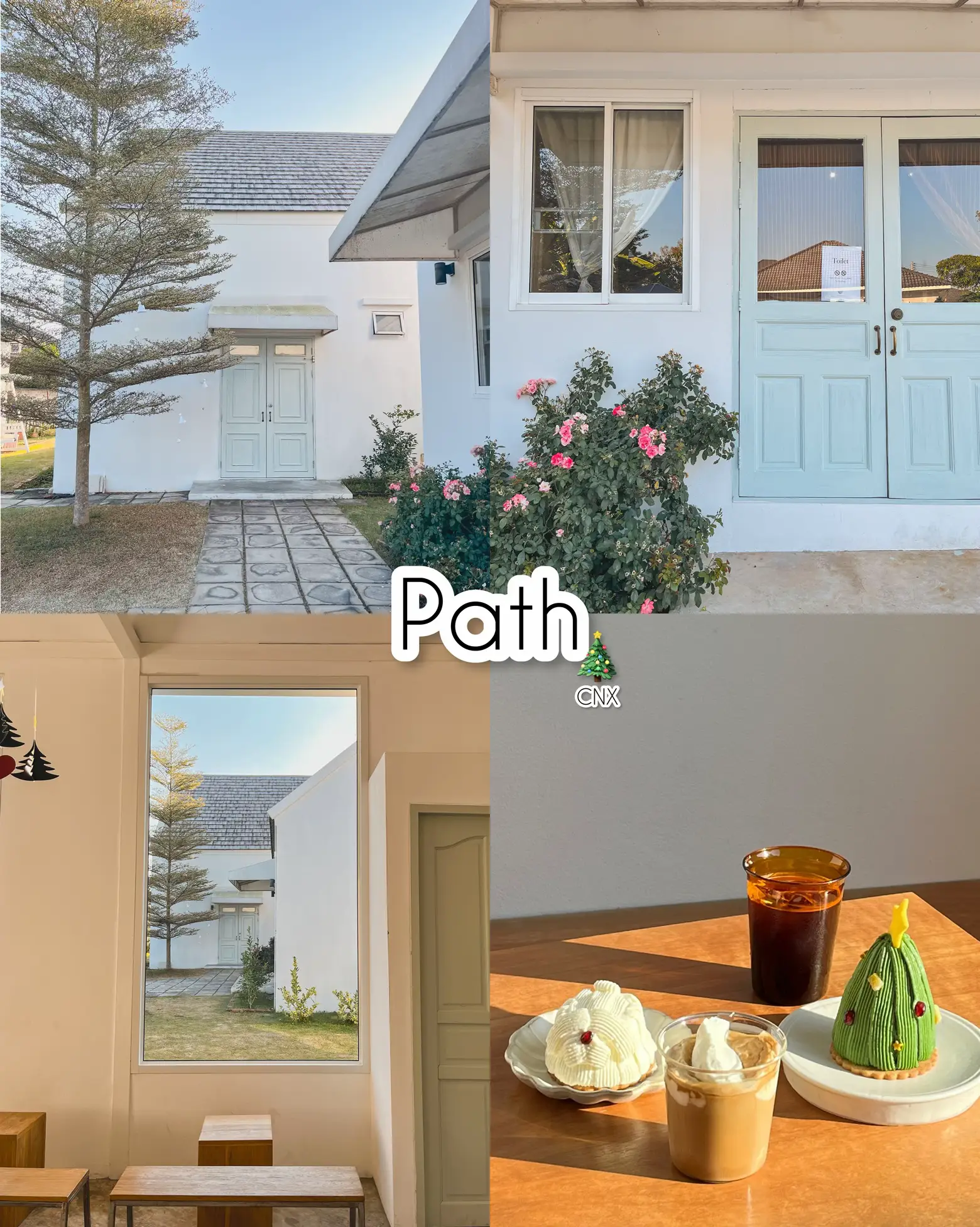 คาเฟ่เกาหลีย่านหางดง เชียงใหม่ 🌲 | แกลเลอรีที่โพสต์โดย hz_llii | Lemon8