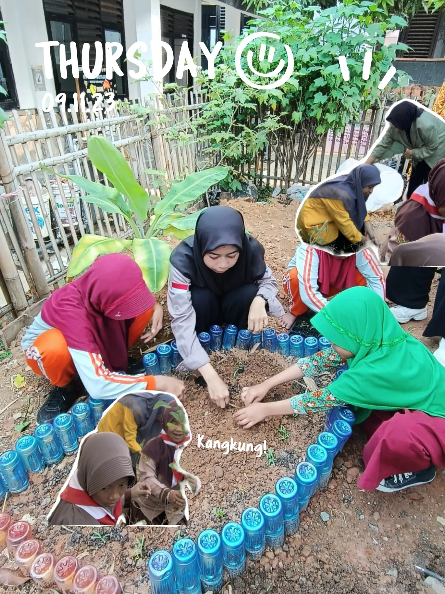 Thursday Plants | Galeri diposting oleh nunifa | Lemon8