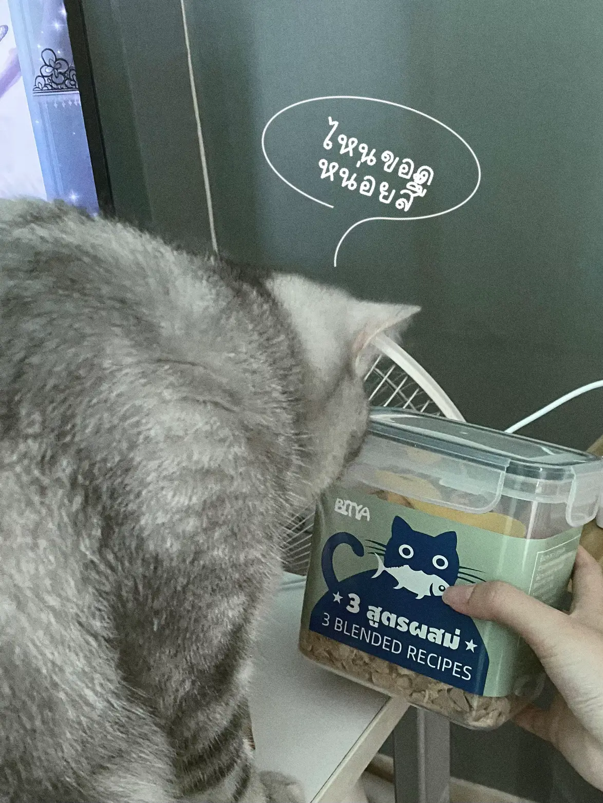 BITYA ขนมแมวที่จริงใจ😻 | แกลเลอรีที่โพสต์โดย Ruby Np | Lemon8