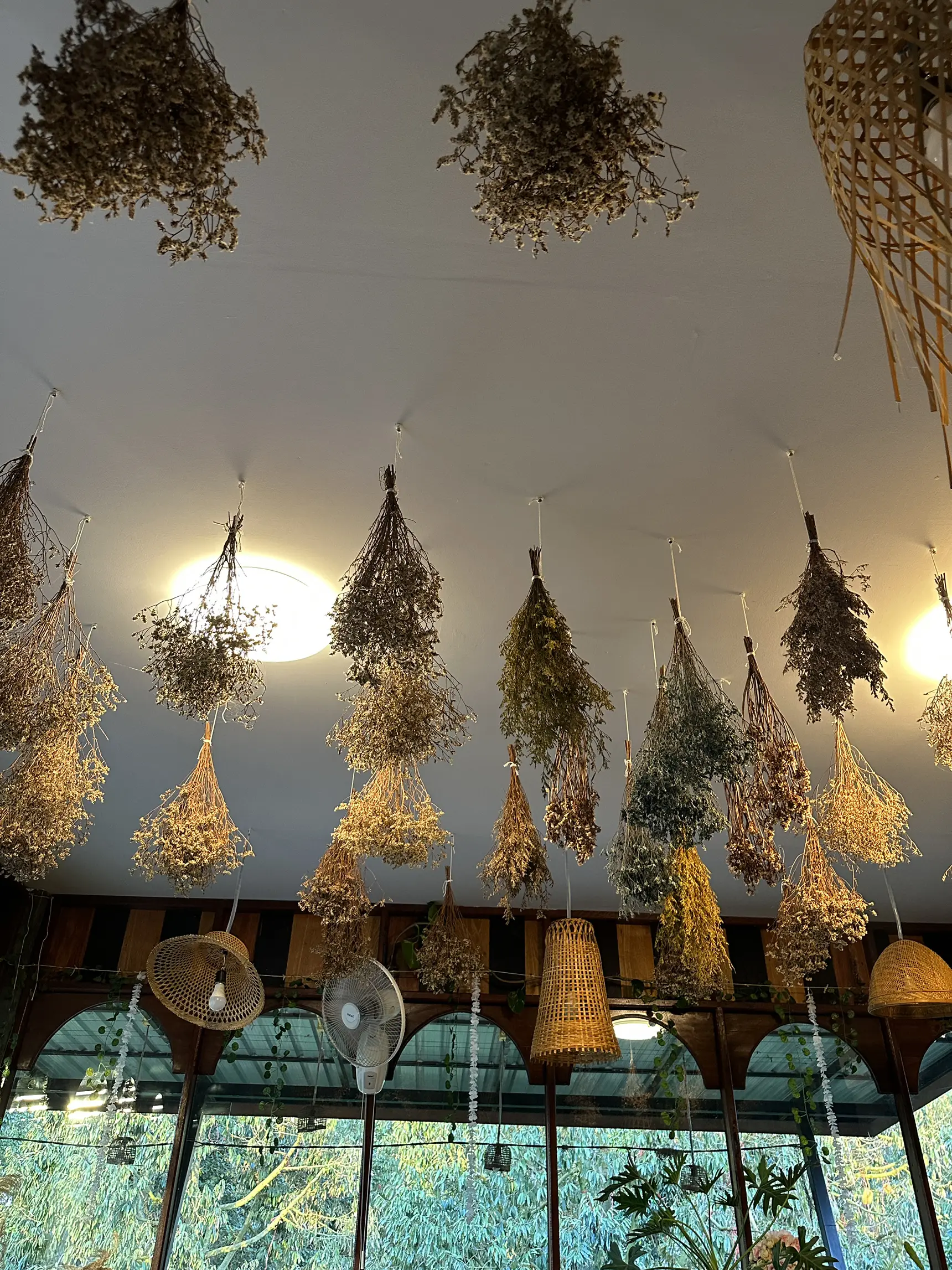 สวนทุเรียนลุงศักดิ์ เสิงสาง นครราชสีมา | แกลเลอรีที่โพสต์โดย Wi sa | Lemon8