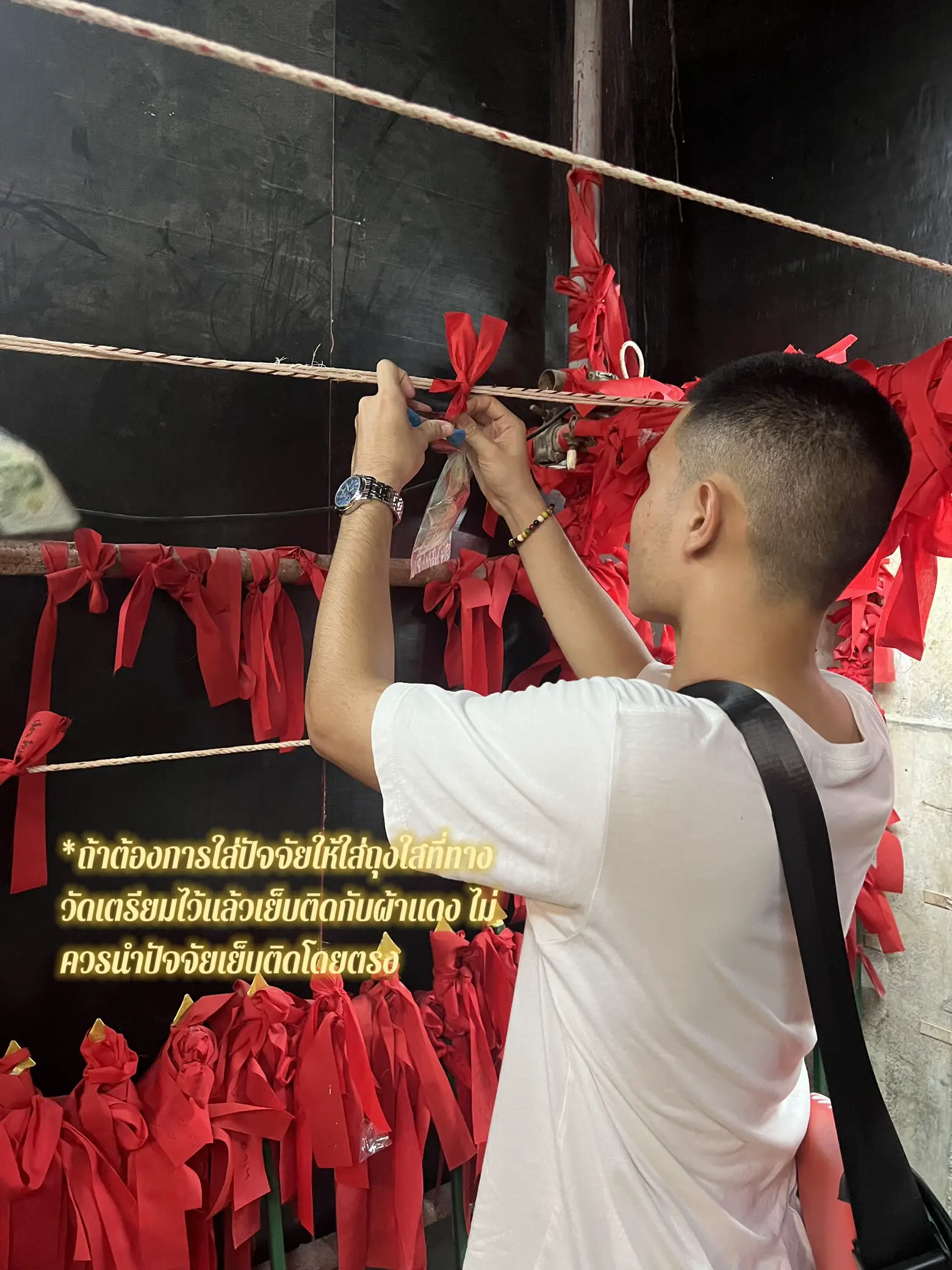 สายมูห้ามพลาด | แกลเลอรีที่โพสต์โดย ตามสไตล์petcha | Lemon8