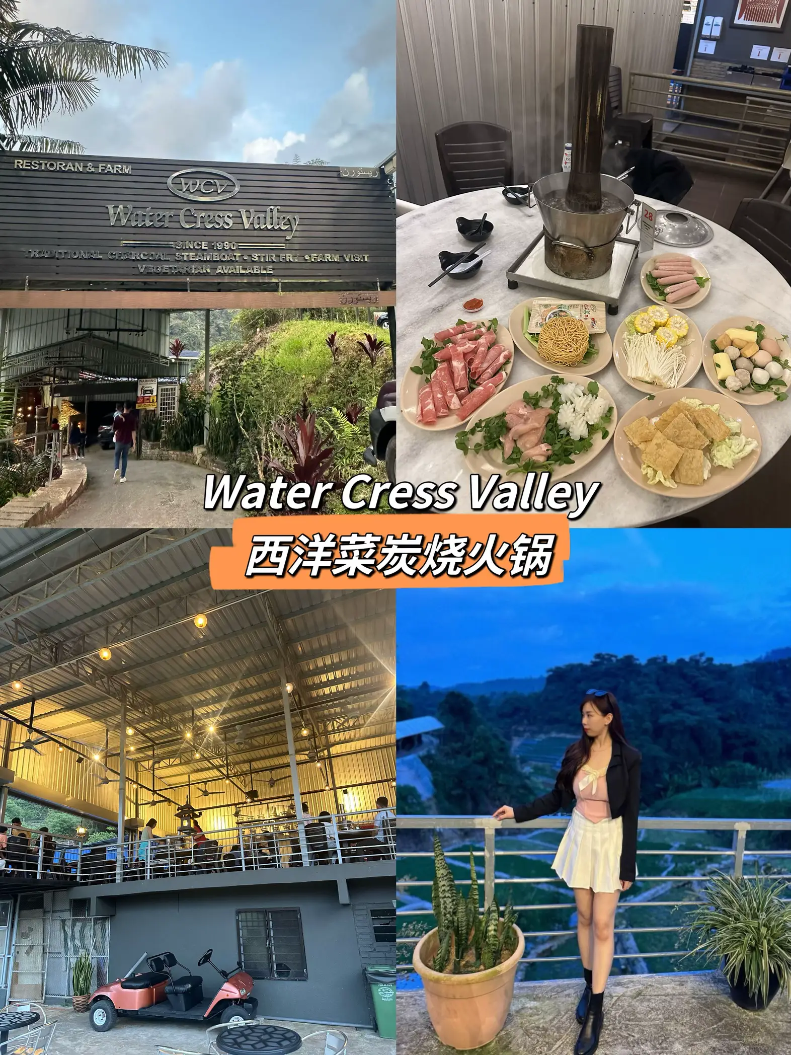 Water Cres Valley Hotpot Cameron Highlands | Gallery posted by Evelynn ...