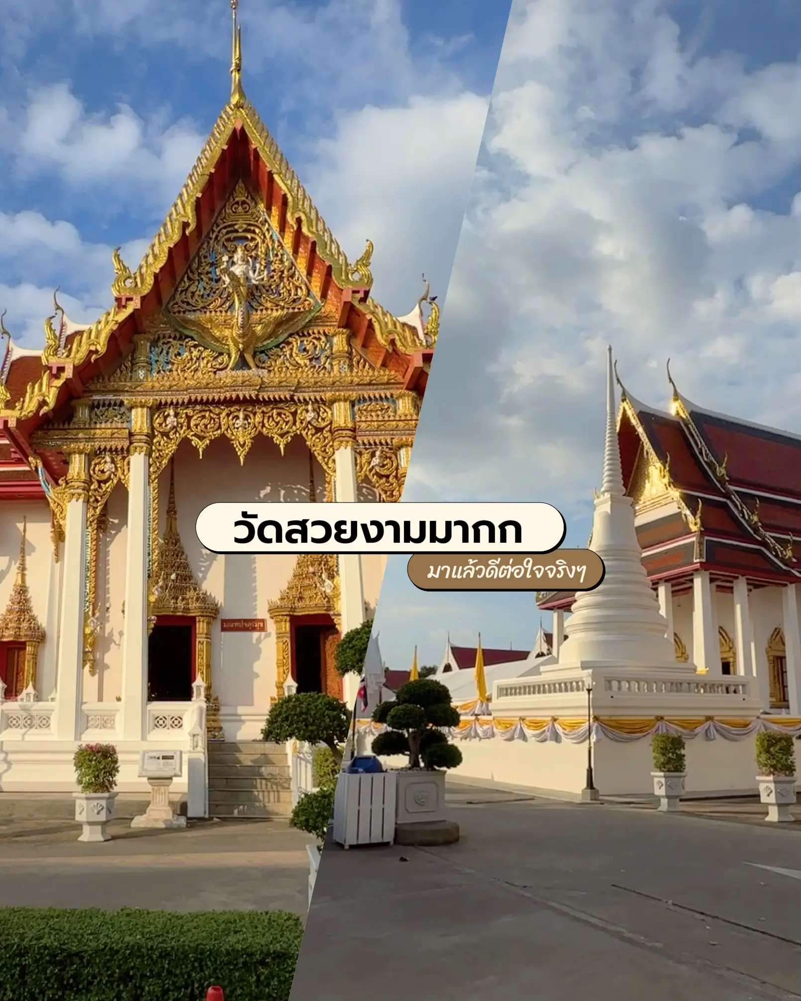 สายมูห้ามพลาด! เทพทันใจ | 📍วัดเทวราชกุญชร เศรษฐีชอบขอพร | แกลเลอรีที่ ...