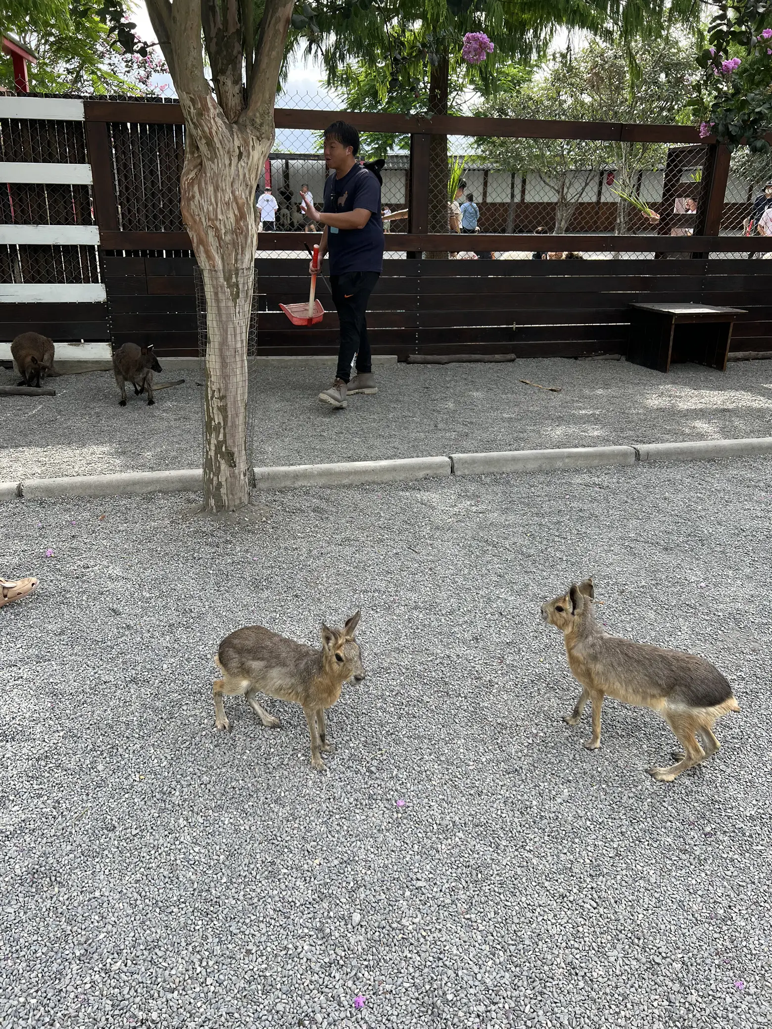 Zhang Mei Ama’s Farm in Yilan | Gallery posted by Starklypositive | Lemon8