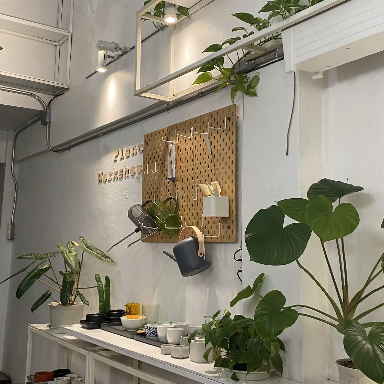 Plant Workshop Cafe ค่าเฟ่ต้นไม้ย่านราชเทวี 🌱 | แกลเลอรีที่โพสต์โดย Nychakim | Lemon8