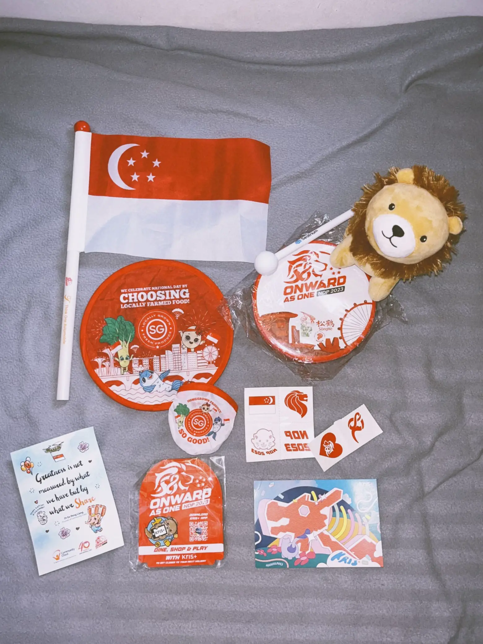 Ndp Goodie Bag 2024 - Lemon8 Search