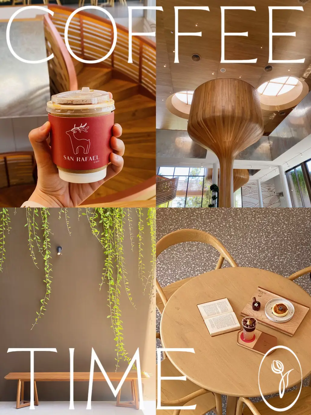 คาเฟ่เปิดใหม่สาย3 ! | แกลเลอรีที่โพสต์โดย OFFY :) | Lemon8