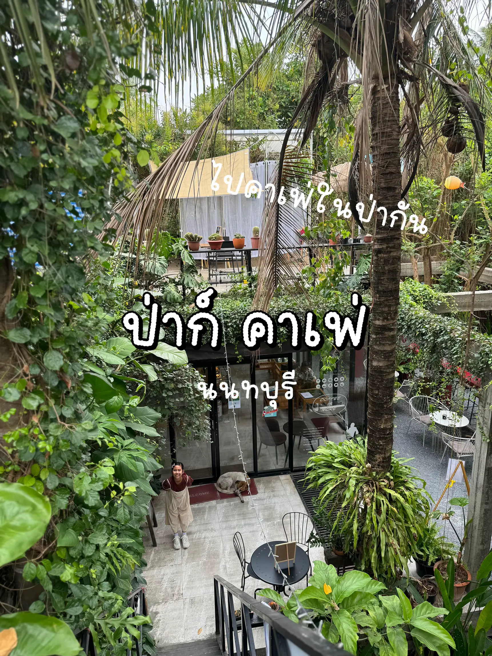 ป่าก์ คาเฟ่ นนทบุรี | แกลเลอรีที่โพสต์โดย Pa Pla | Lemon8