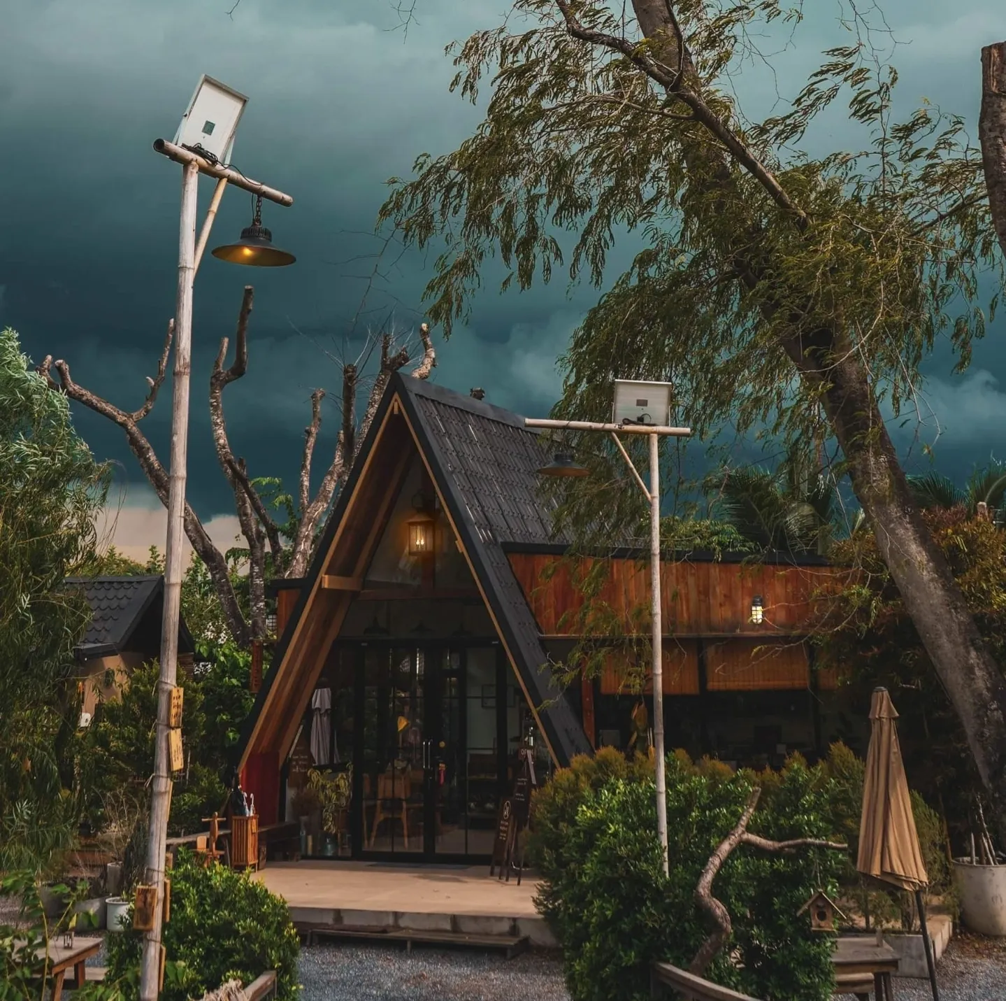 THREE ICONIC | แกลเลอรีที่โพสต์โดย Three Iconic | Lemon8