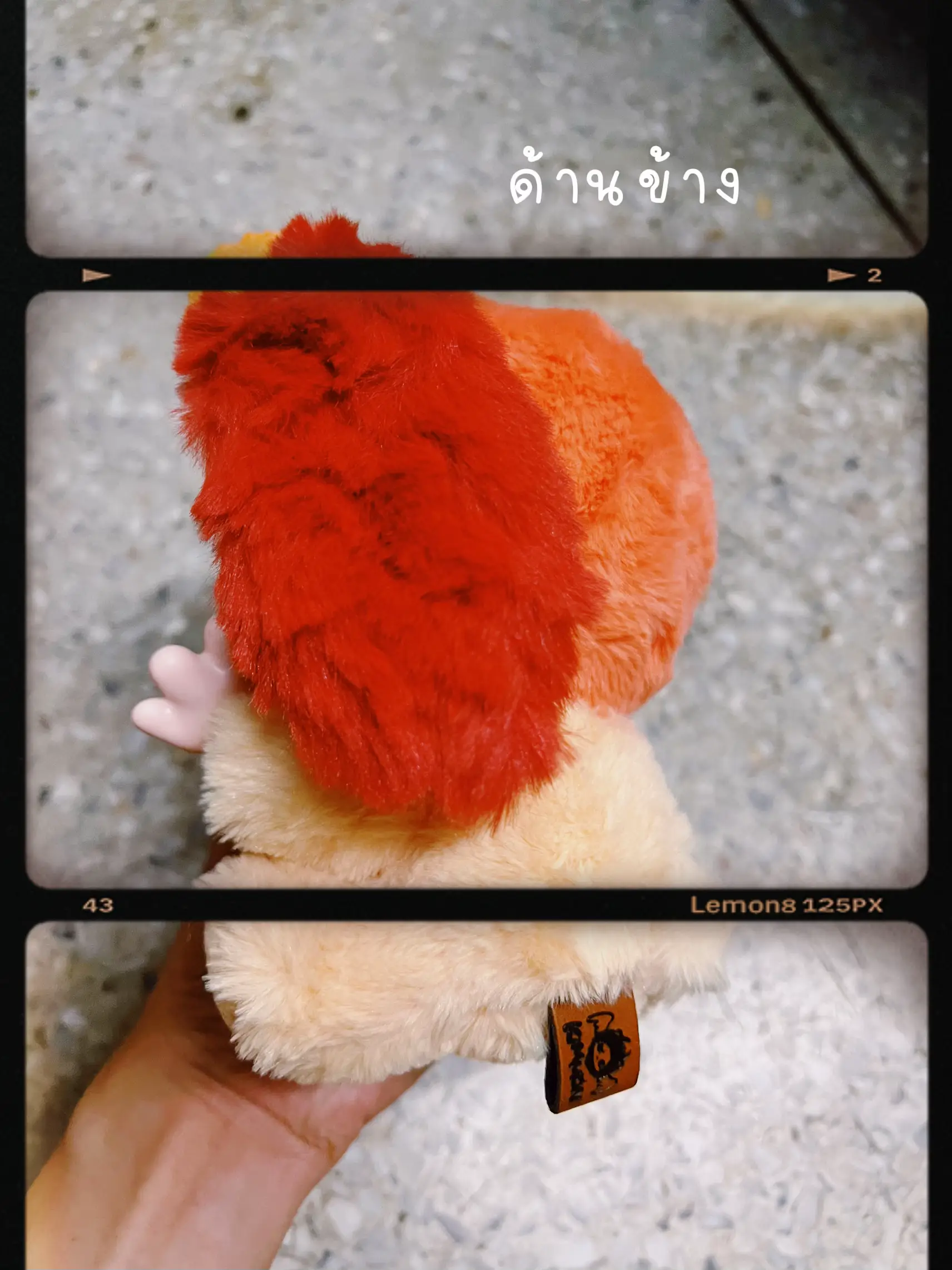 Kimmon V.3 ตุ๊กตาน่ารัก🍊 | แกลเลอรีที่โพสต์โดย ᴹᵃʸ⭐️⑨⑤⑥ | Lemon8