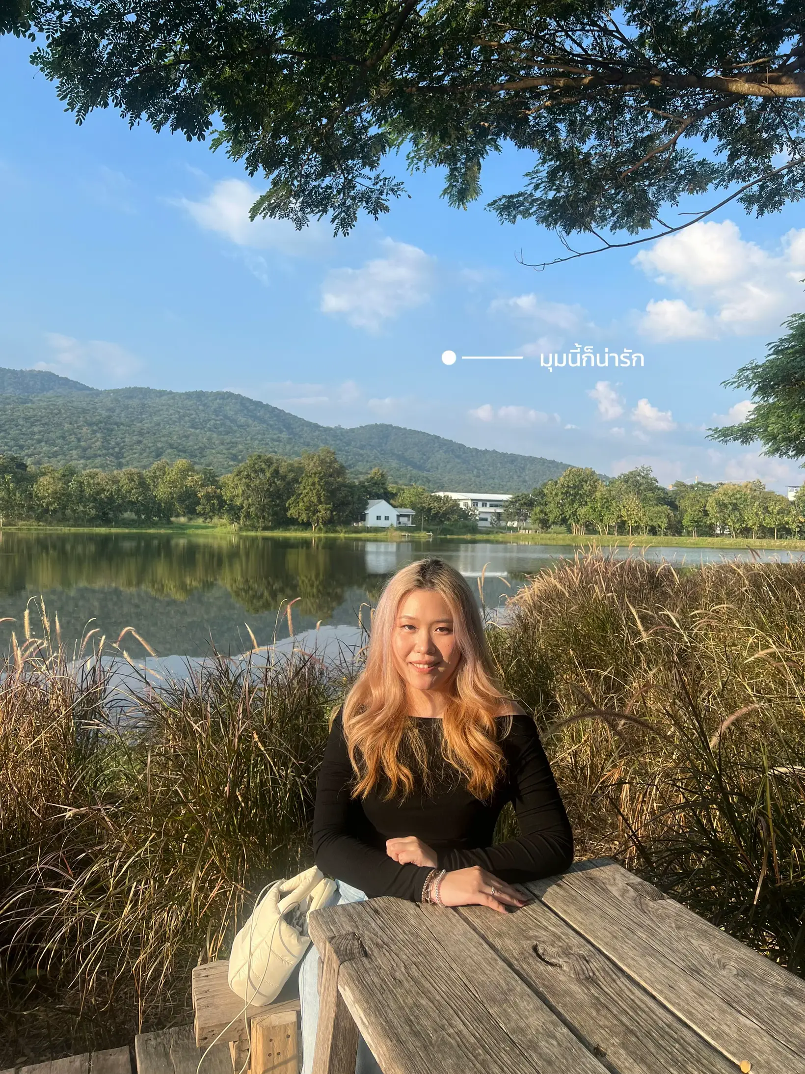 คาเฟ่เชียงใหม่ | แกลเลอรีที่โพสต์โดย Sirimoko | Lemon8