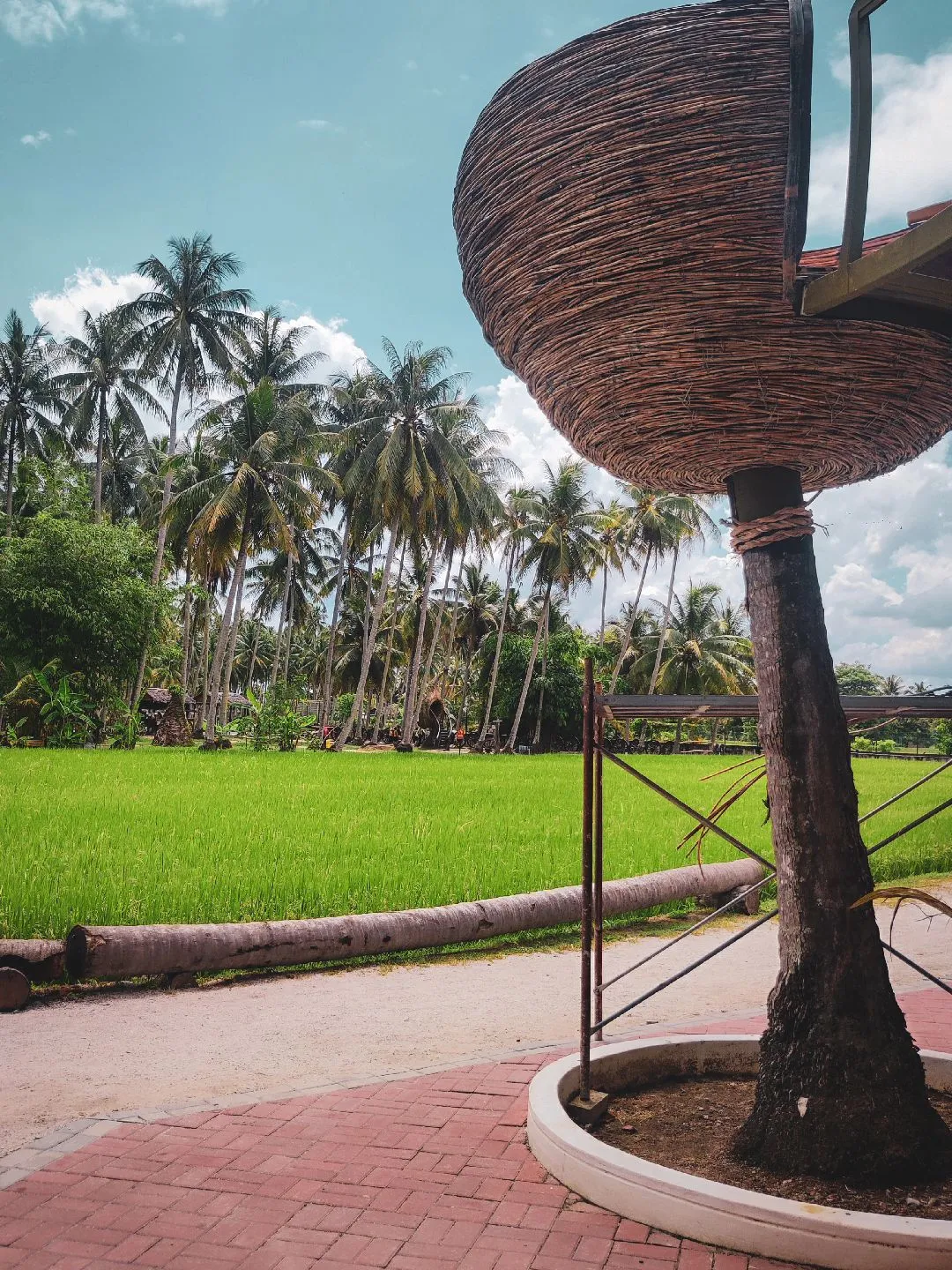 🇲🇾 PENANG ｜Mini Bali | Galeri disiarkan oleh Nomber Wan | Lemon8