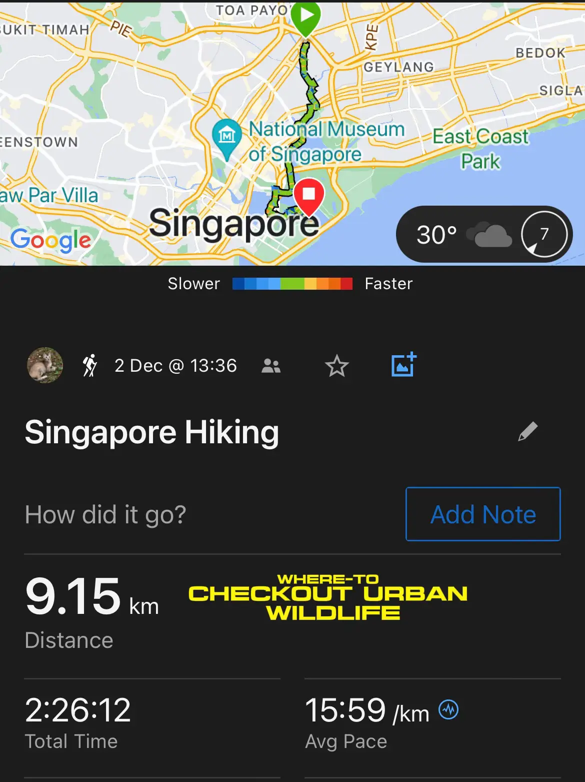 Underpass PCN from Kallang Bahru to City! | Gallery posted by AllieCat ...