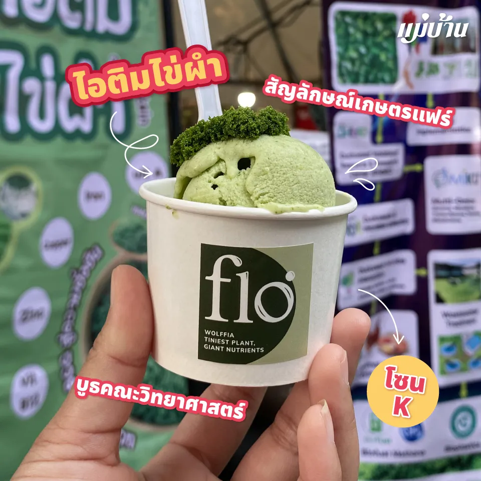 8 ร้านเด็ดโซนนิสิต งานเกษตรแฟร์ 68 🍟🍗🍭 | แกลเลอรีที่โพสต์โดย Maeban-แม่บ้าน | Lemon8