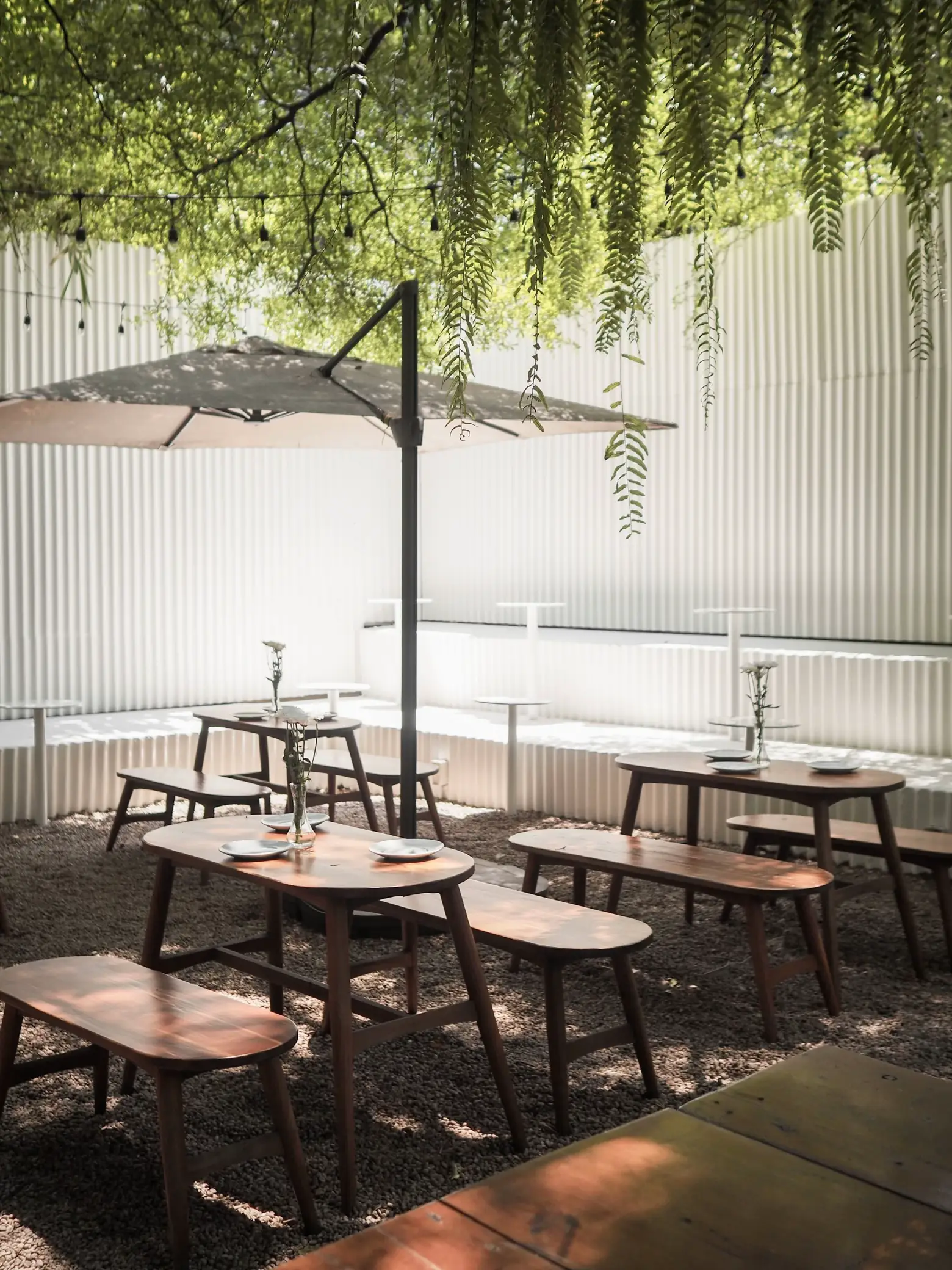 Pasta Ama has opened a new branch at Rama 9!! | Gallery posted by Ppair ...