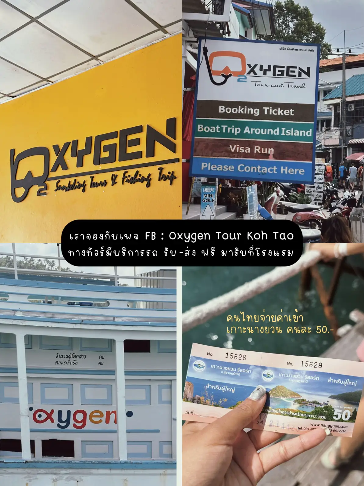 รีวิวดำน้ำเกาะเต่ากับ Oxygen Tour 650.- ได้อะไรบ้าง | แกลเลอรีที่โพสต์ ...