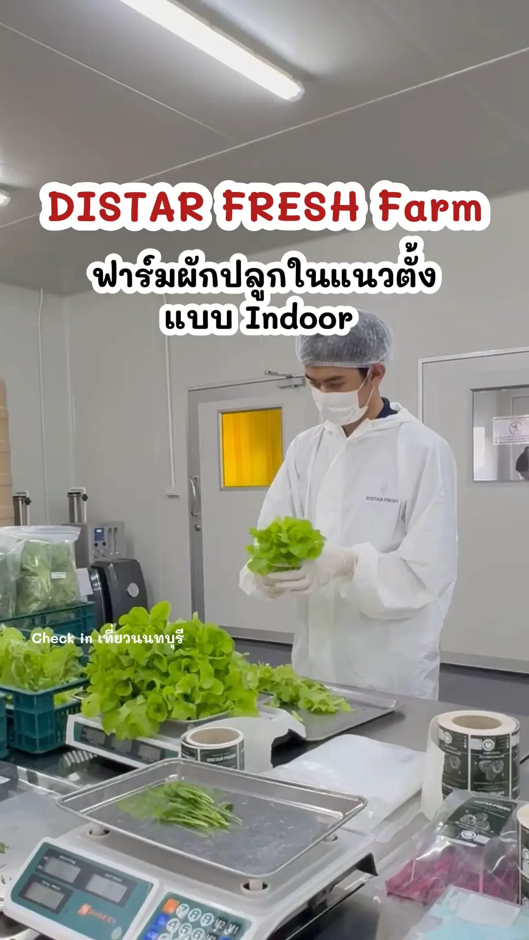 DISTAR FRESH Farm | วิดีโอที่เผยแพร่โดย Check in non | Lemon8